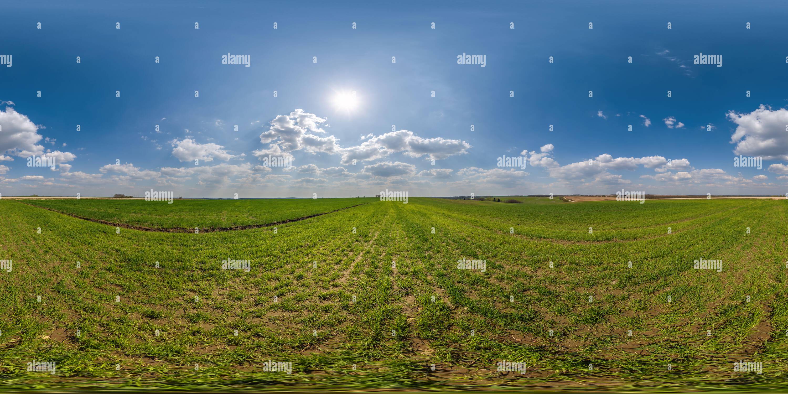 360° view of spherical 360 hdri panorama among green grass farming ...