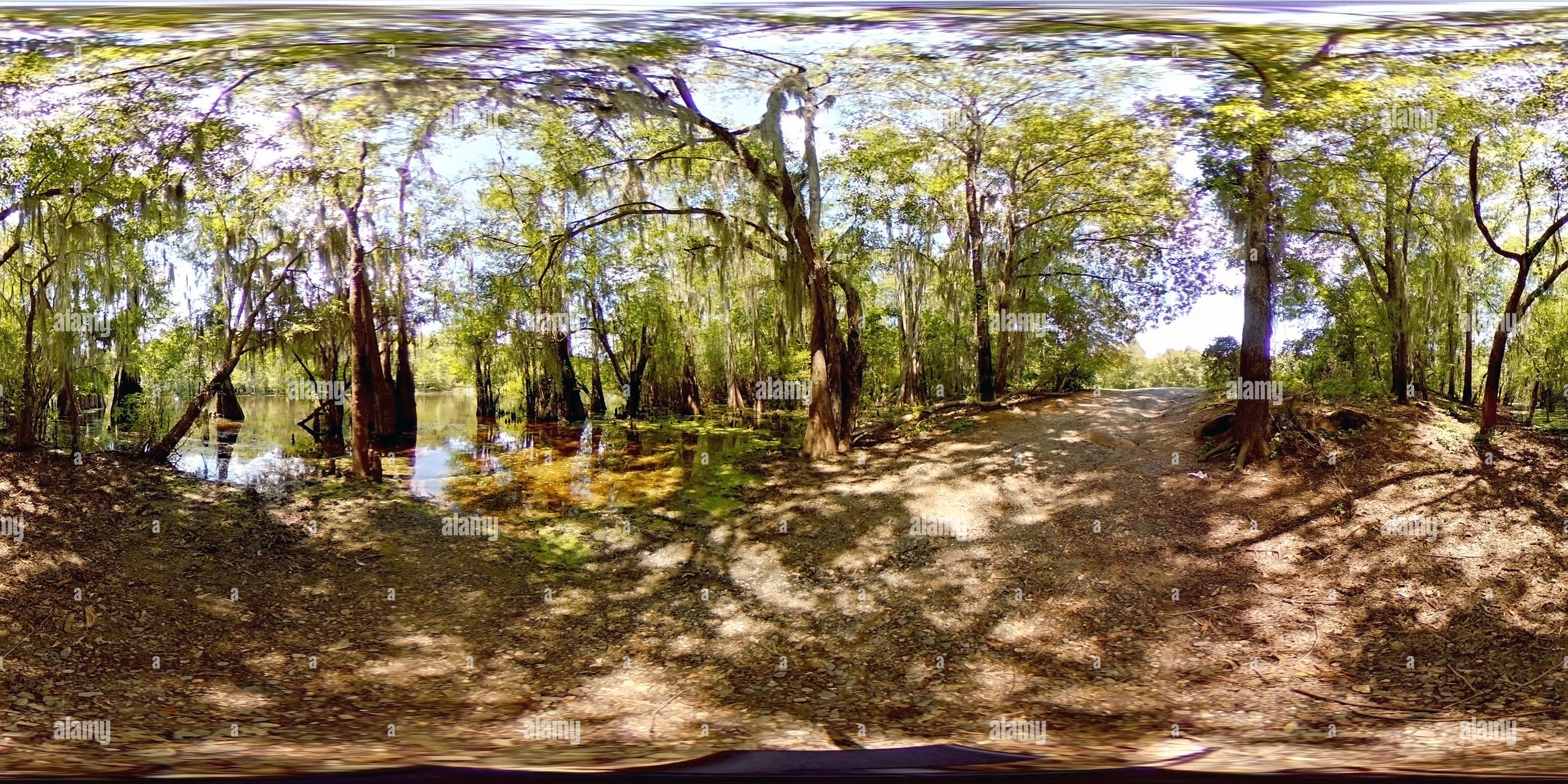 360° view of Bodcau Bayou, Haughton, Louisiana, USA - Alamy