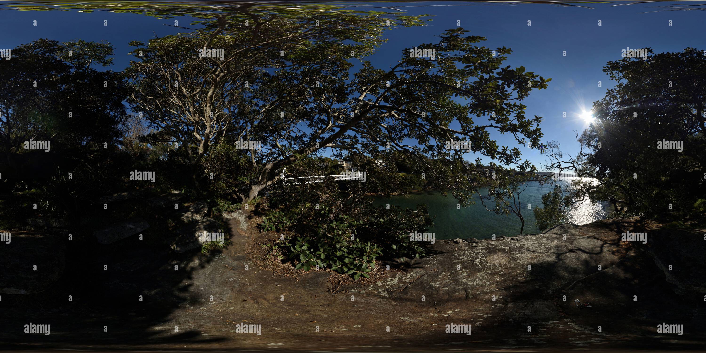 360° View Of 360° Panorama Of Parsley Bay Reserve The Suspension Bridge And Its Emerald Green