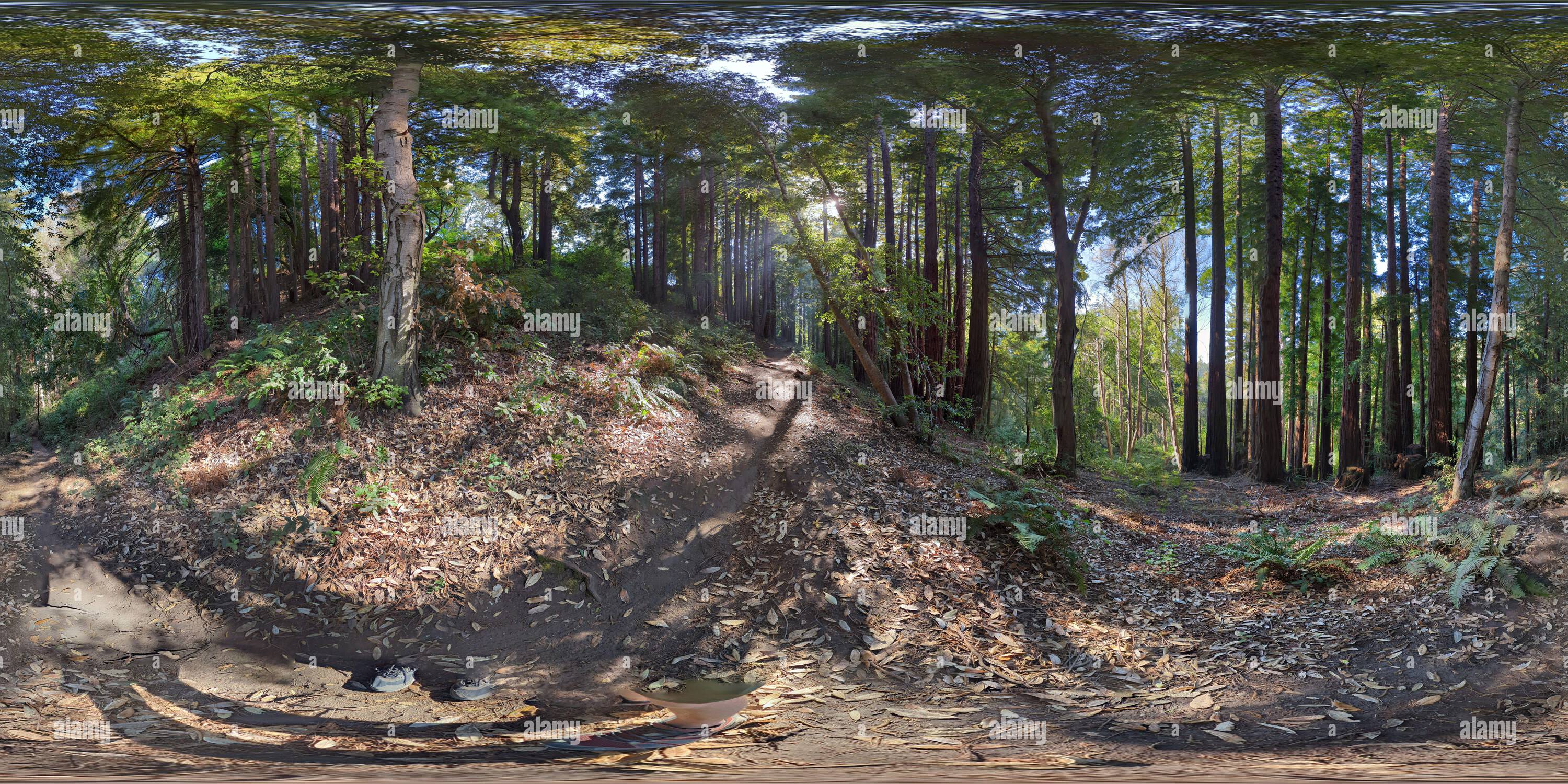 360° view of 360 Photo sphere taken with a Google Pixel 7 Pro, Taken on ...