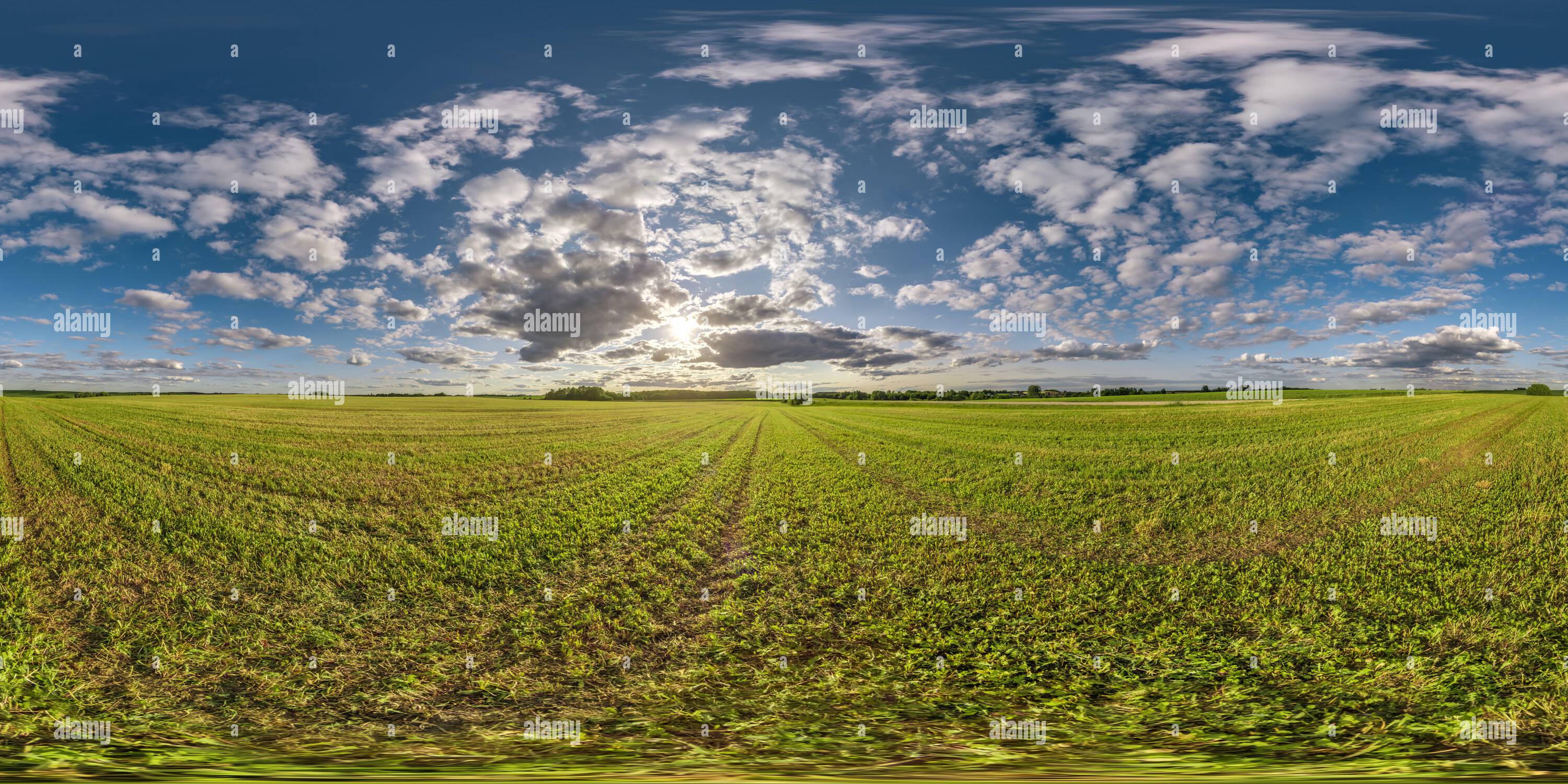 360° view of spherical 360 hdri panorama among green grass farming ...