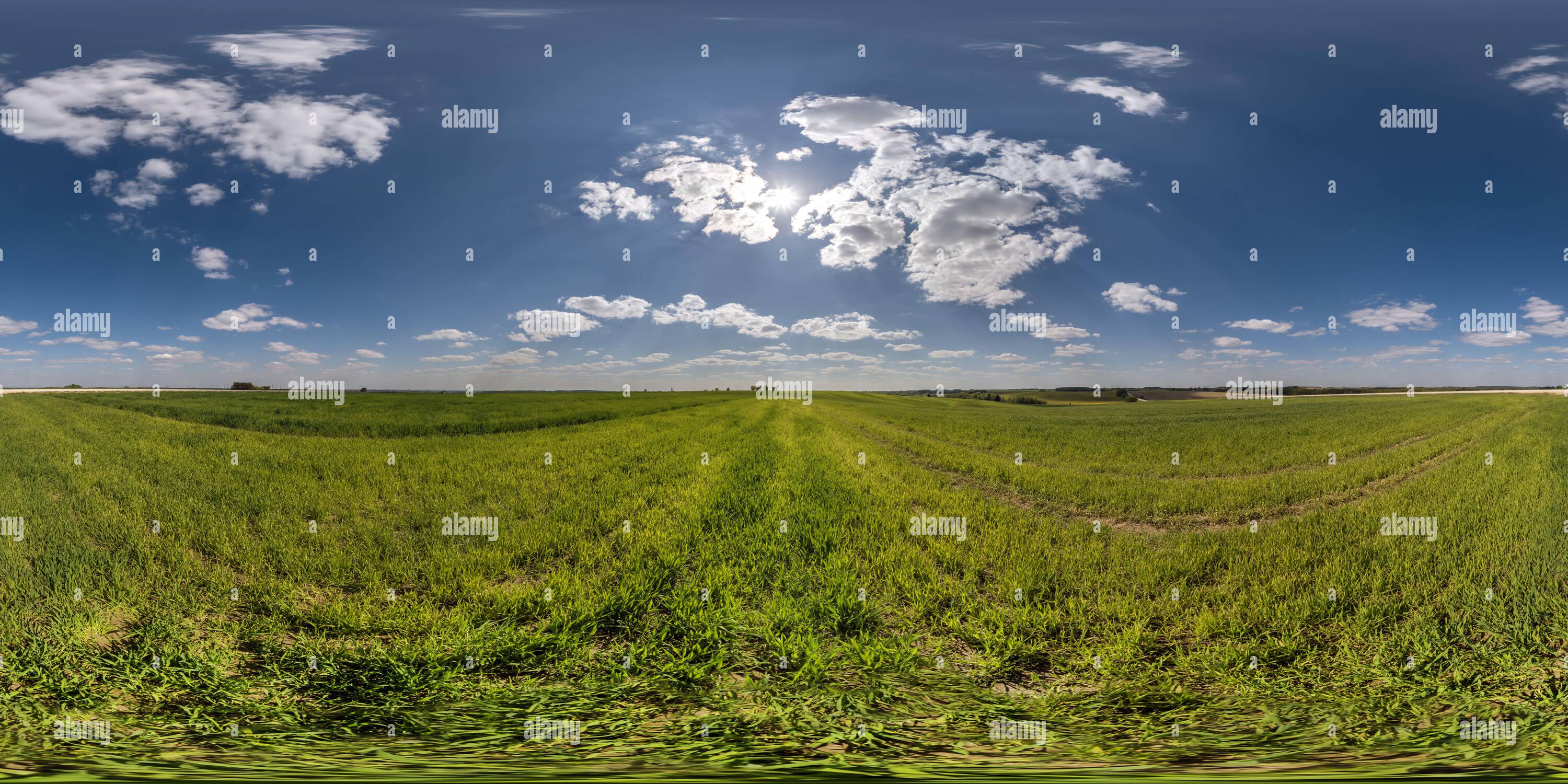 360° view of spherical 360 hdri panorama among green grass farming ...