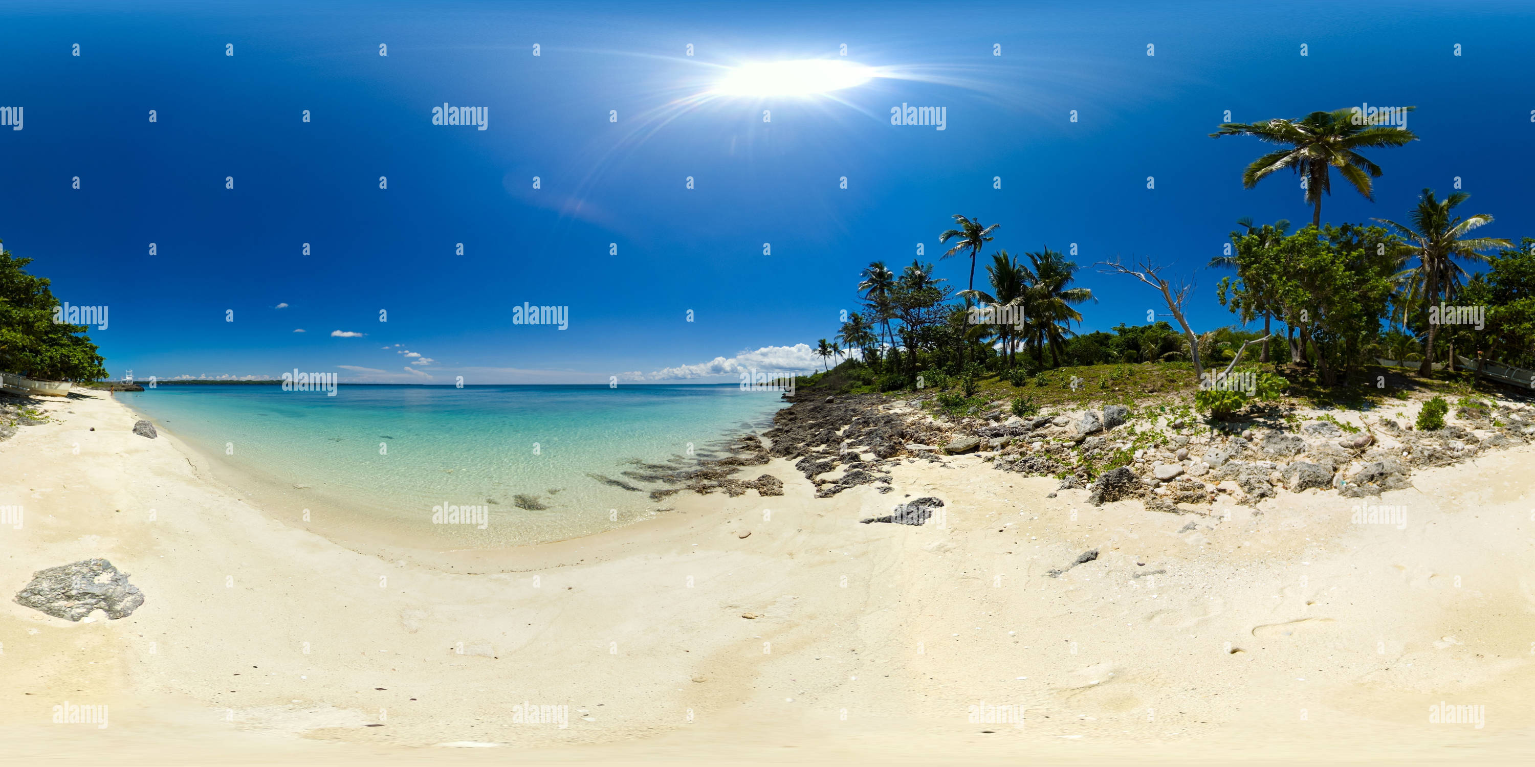 Philippines island beach mangrove tree hi-res stock photography and ...