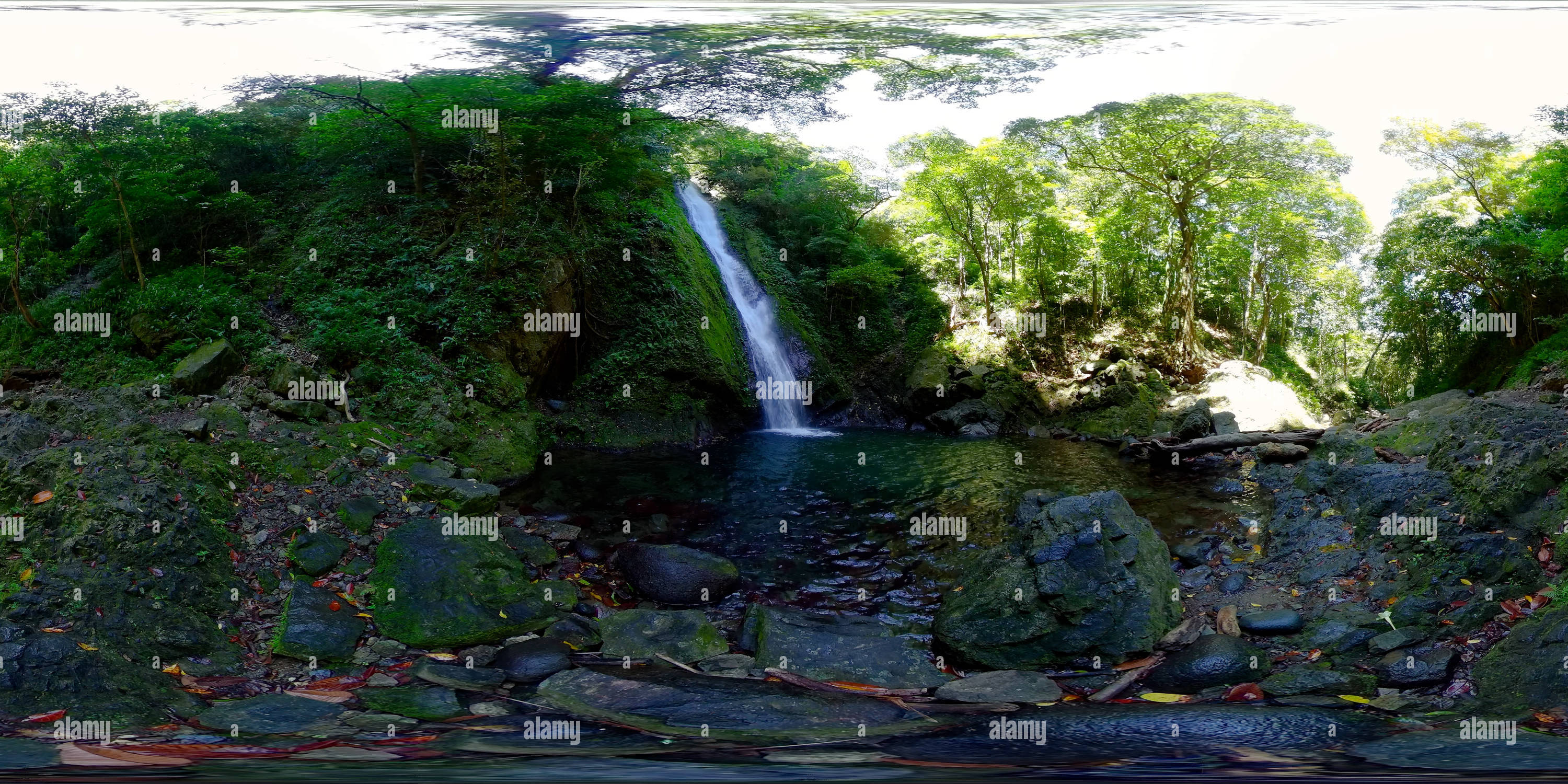 360° view of A beautiful waterfall in rainforest. VR 360 - Alamy