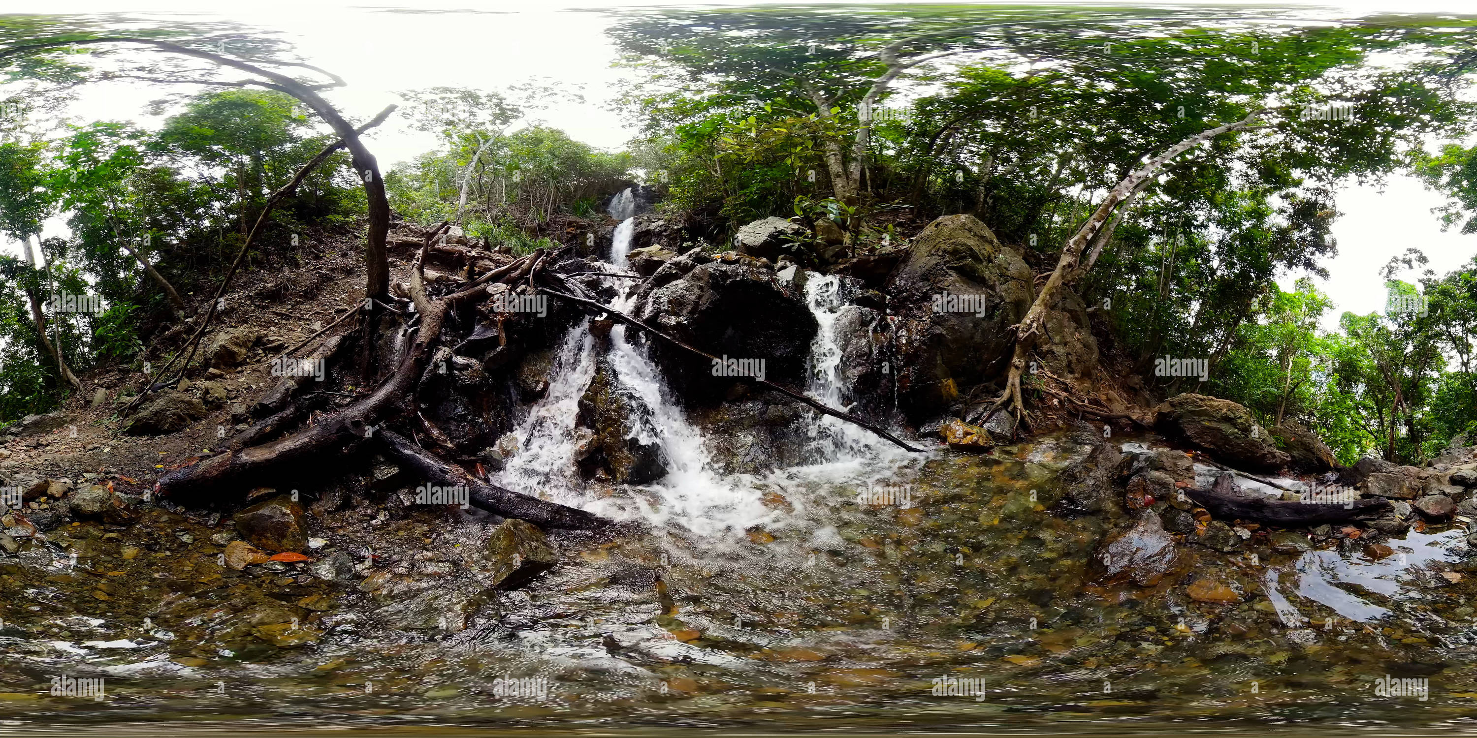 Waterfall in green forest virtual hi-res stock photography and images ...