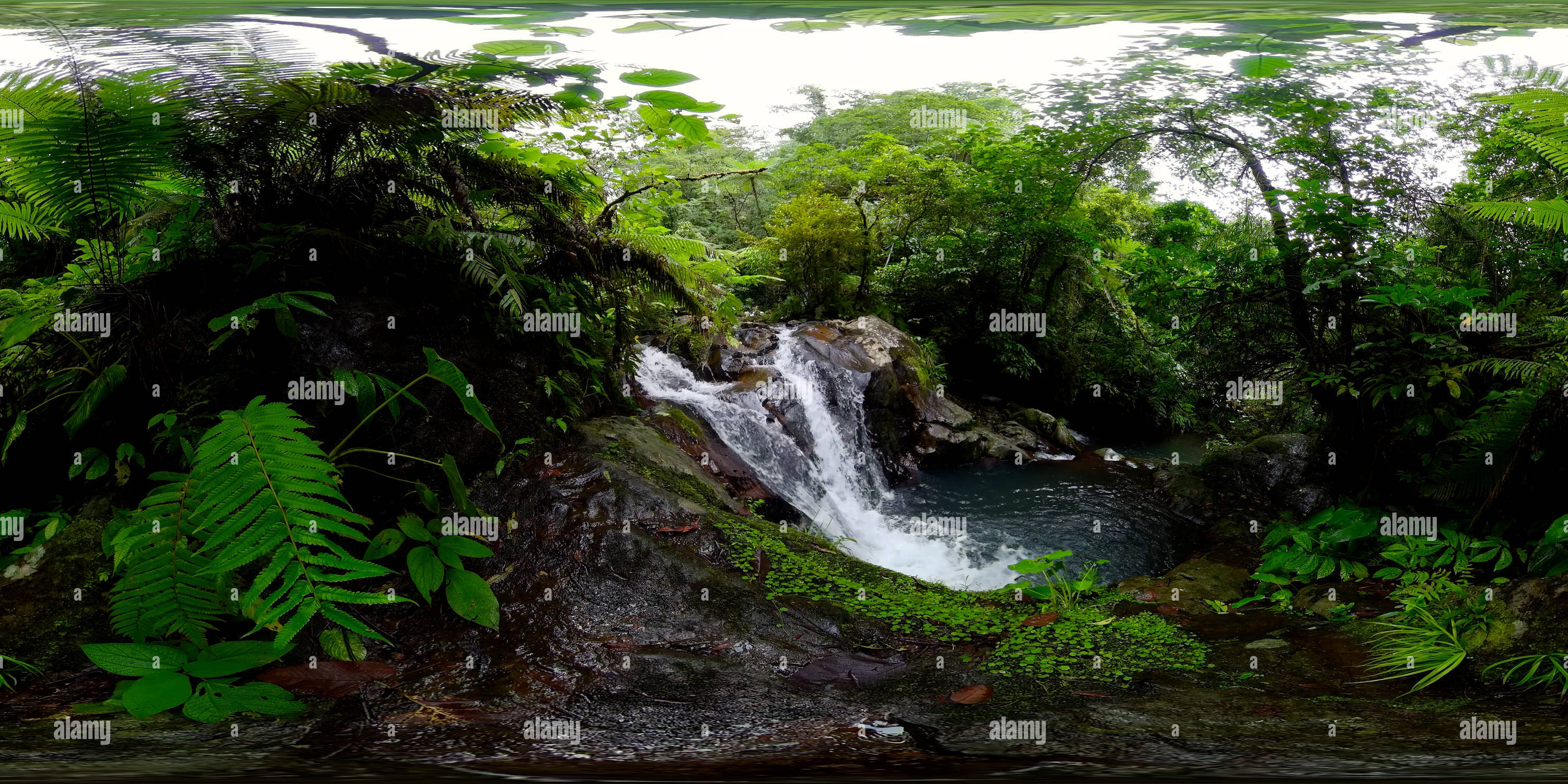 360° view of Cascading waterfall and river in mountain rainforest - Alamy