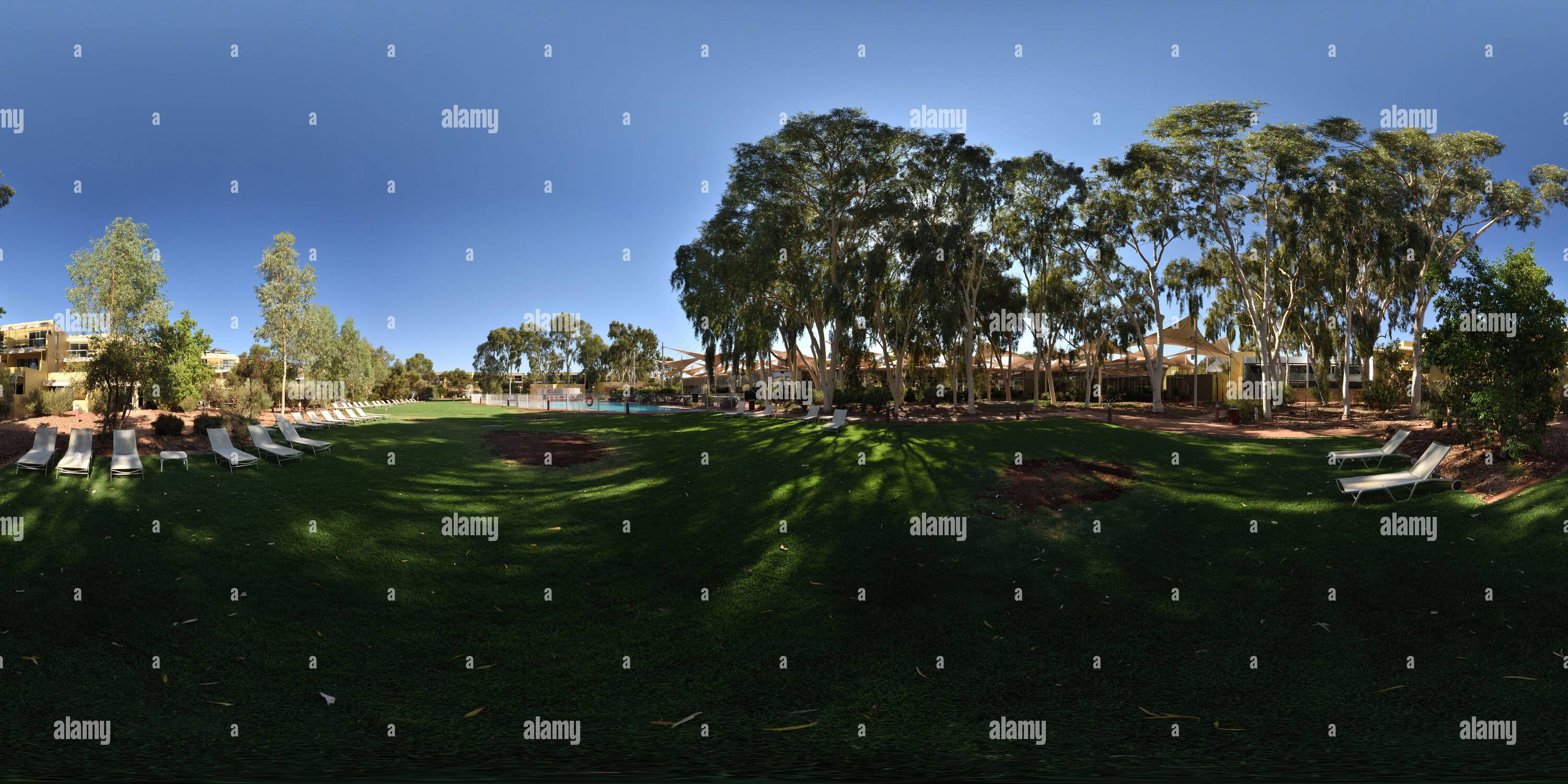360° view of Shady Gum Trees and sun lounges on the green grassed Pool ...