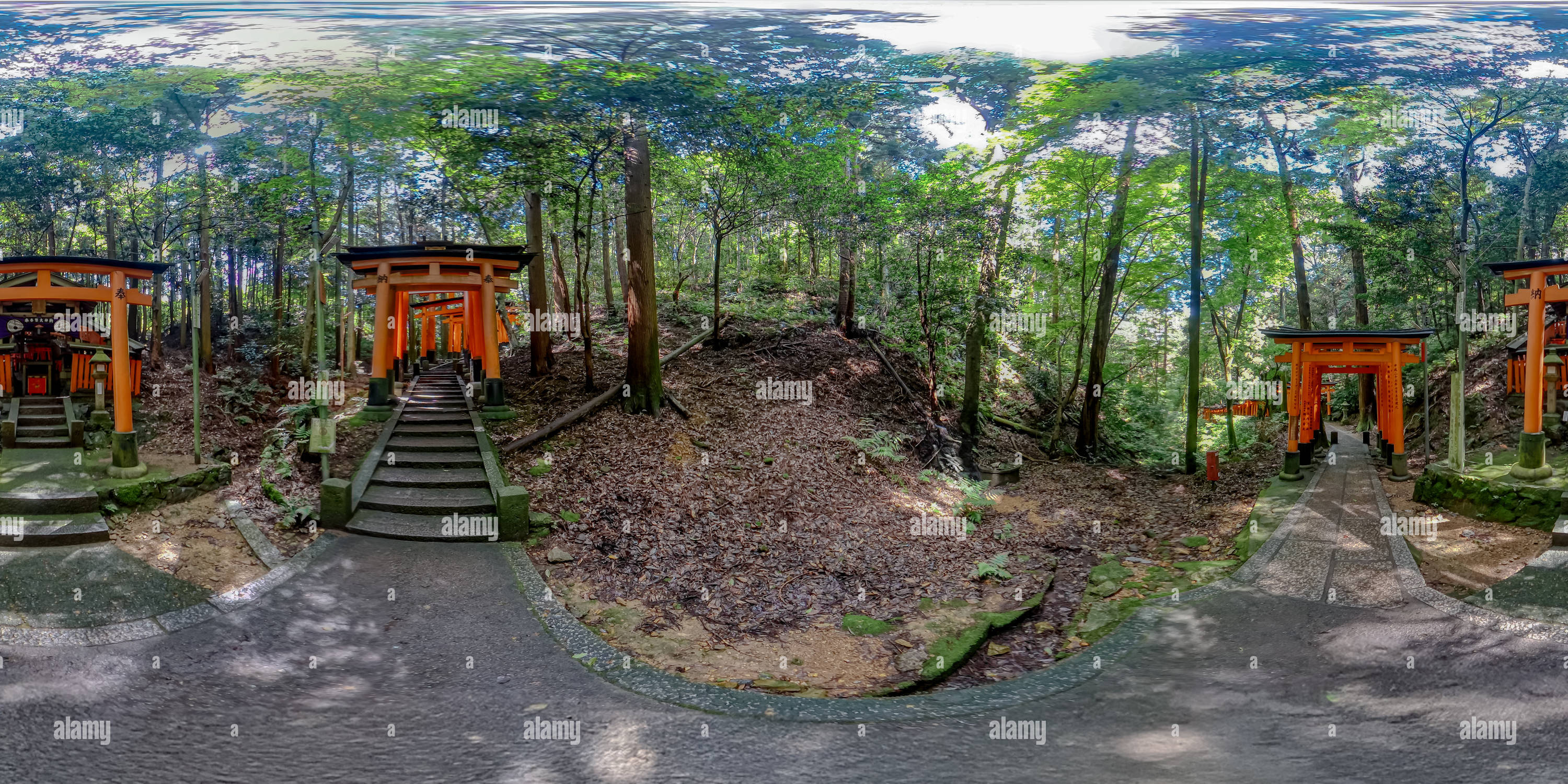 360° view of Fushimi Inari Taisha temple - Alamy