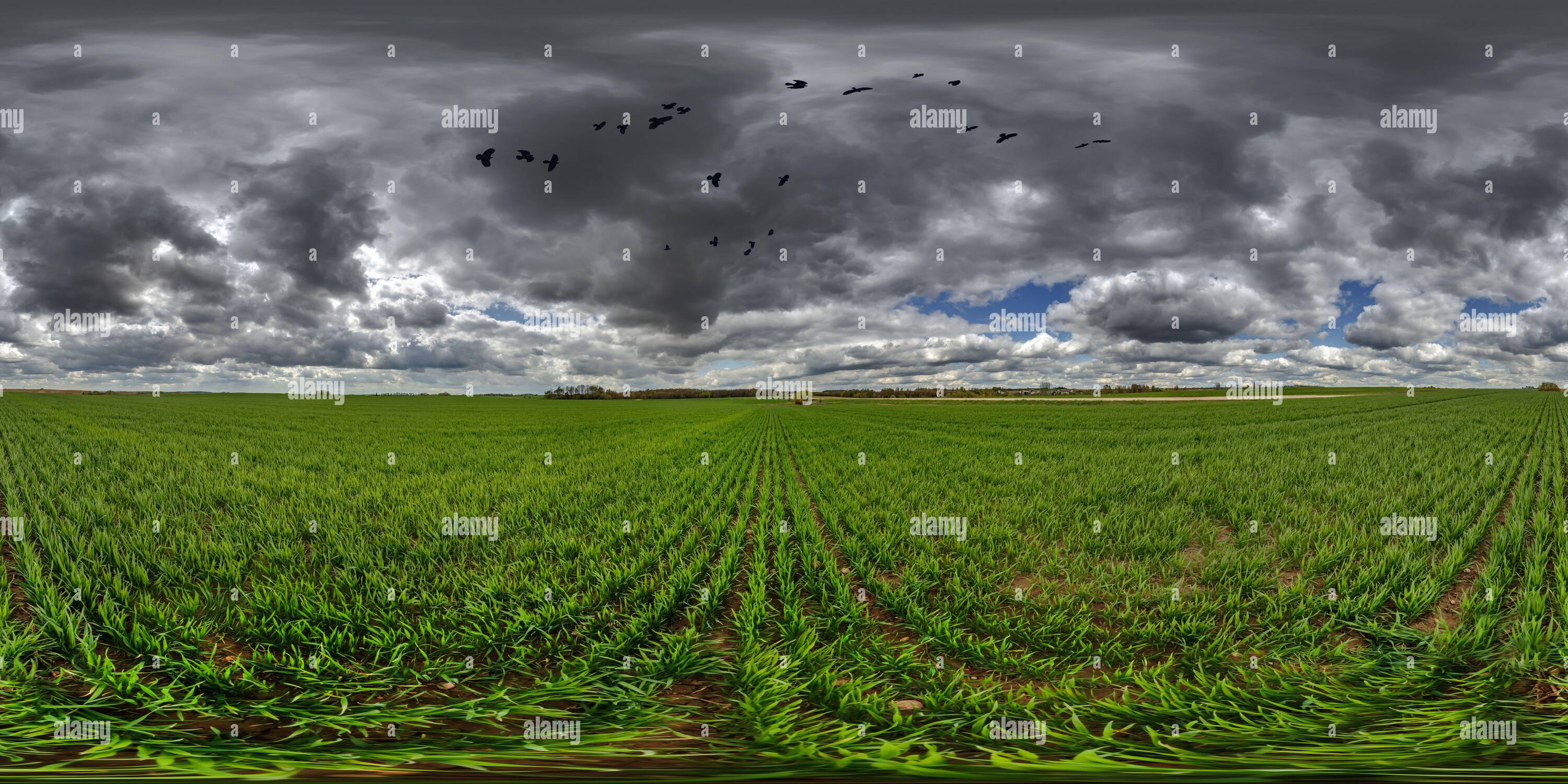 360° view of hdri 360 panorama among fields in nasty day with storm ...
