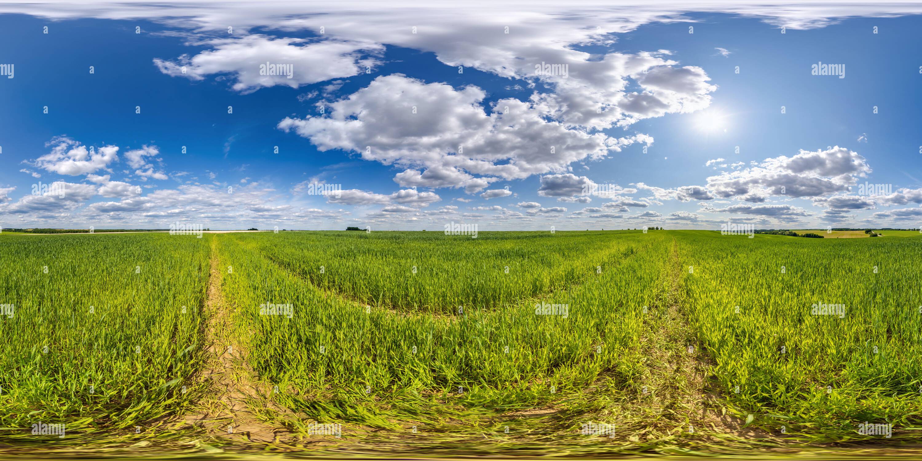 360° view of spherical 360 hdri panorama among green grass farming ...