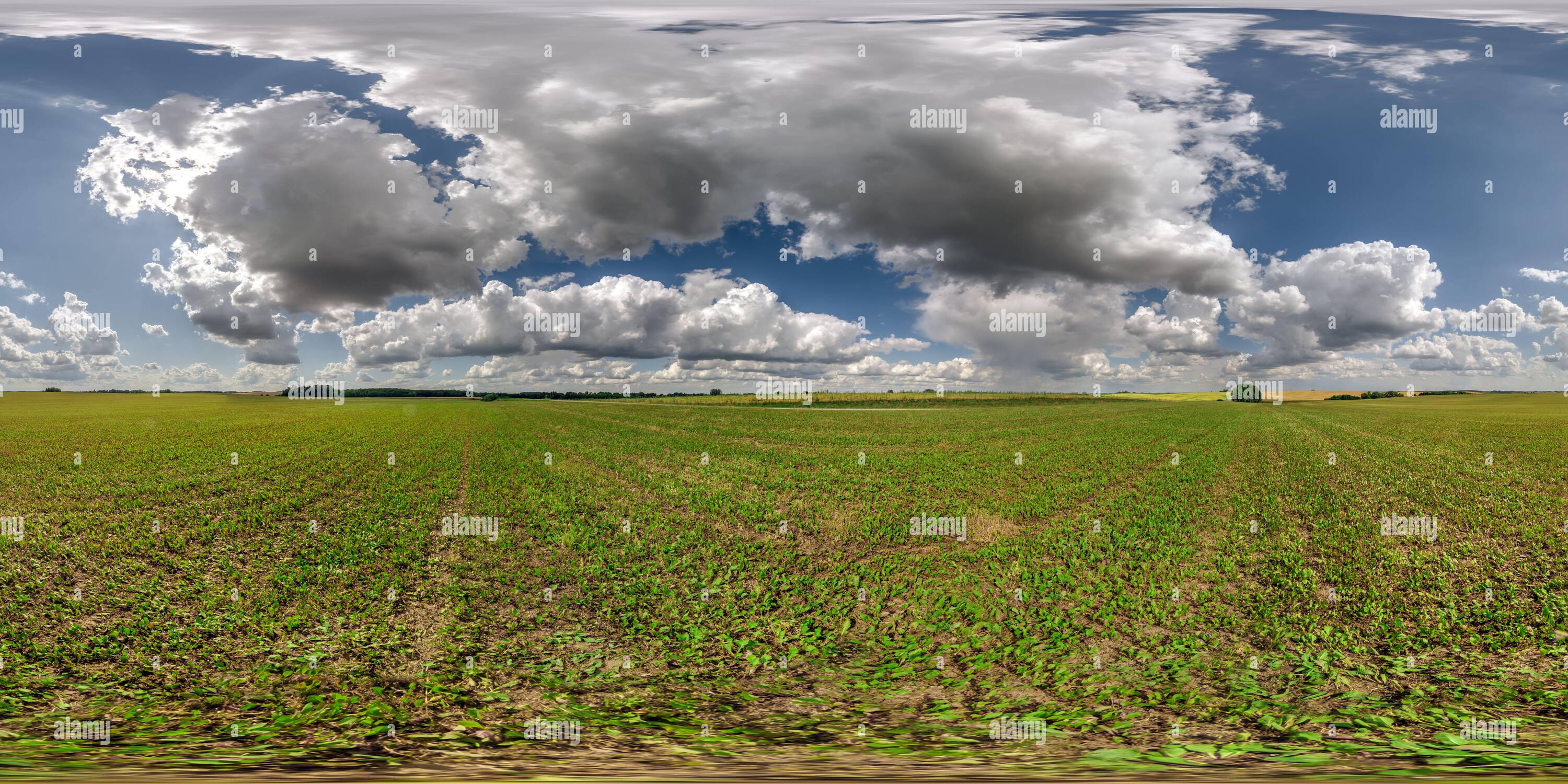 360° view of spherical 360 hdri panorama among green grass farming ...