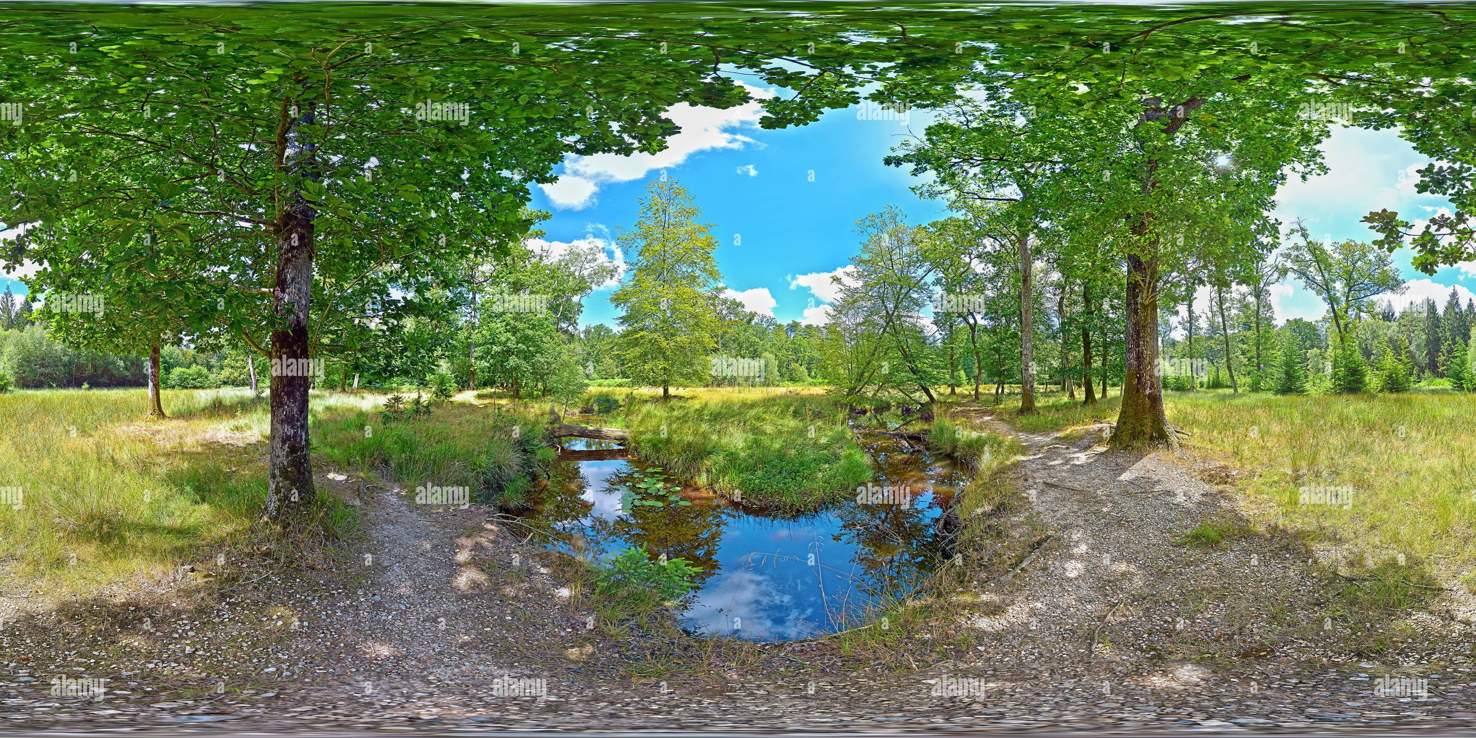 360° view of Blackwater stream in Hampshire - Alamy
