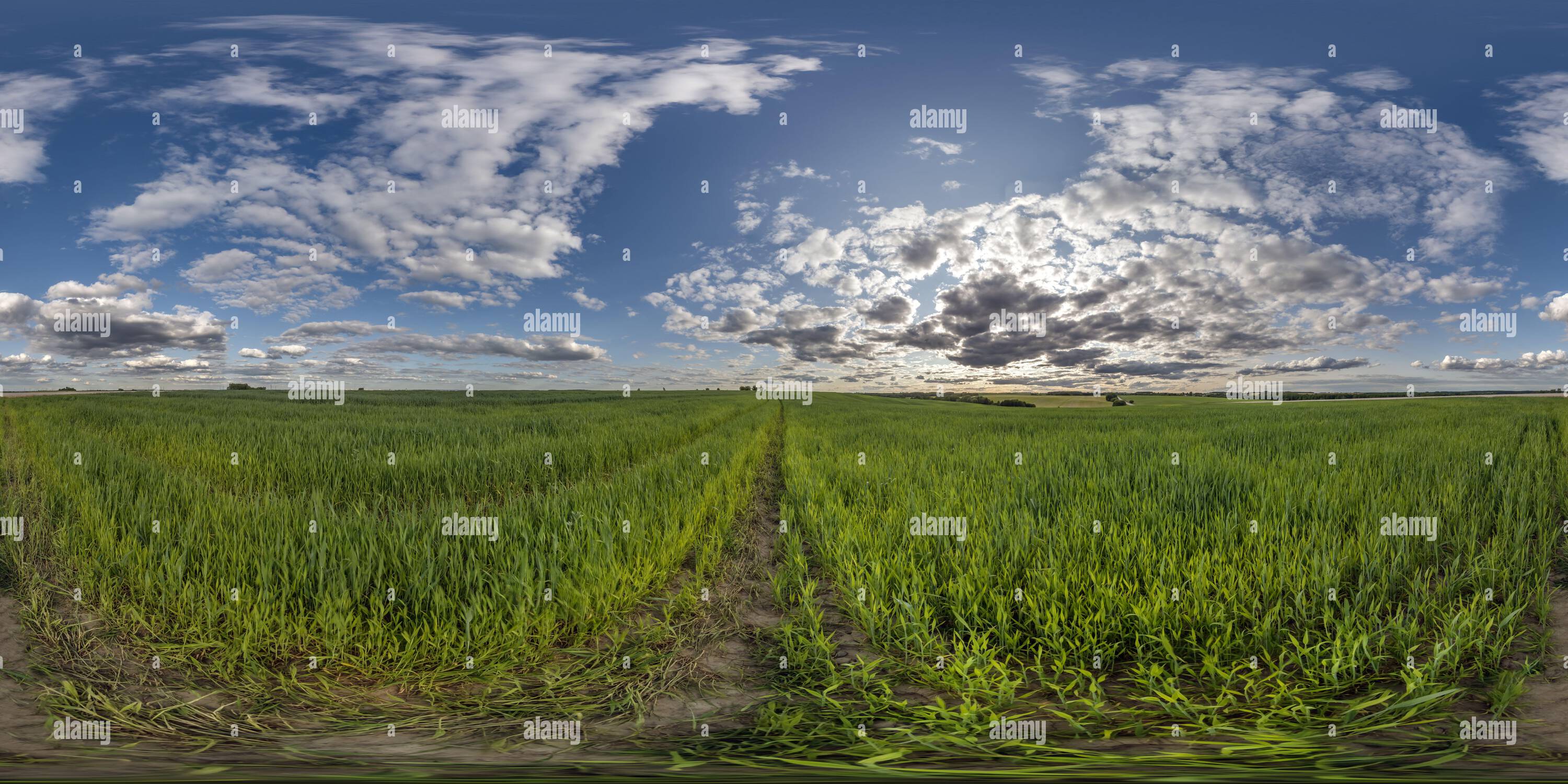 360° view of spherical 360 hdri panorama among green grass farming ...