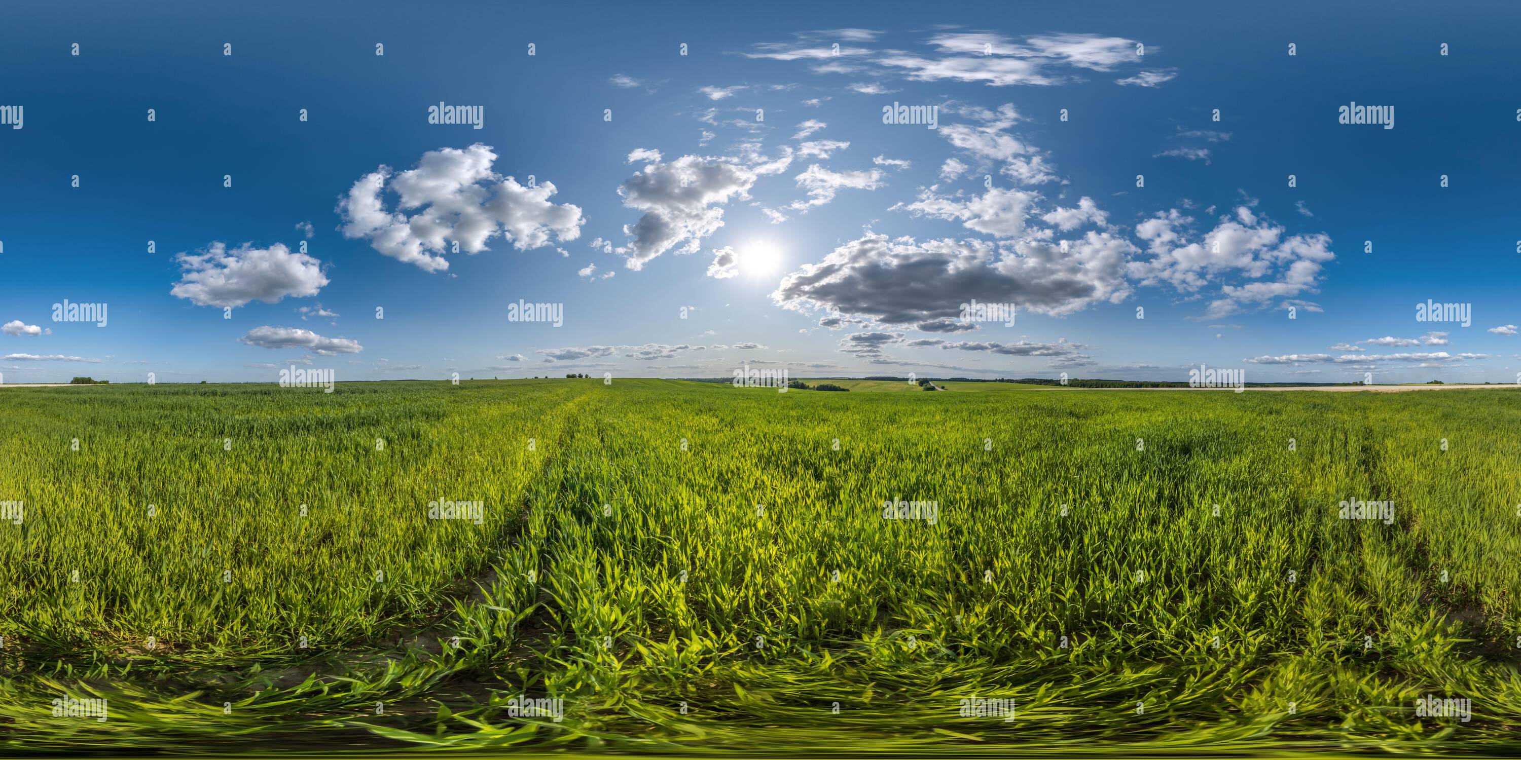 360° view of spherical 360 hdri panorama among green grass farming ...