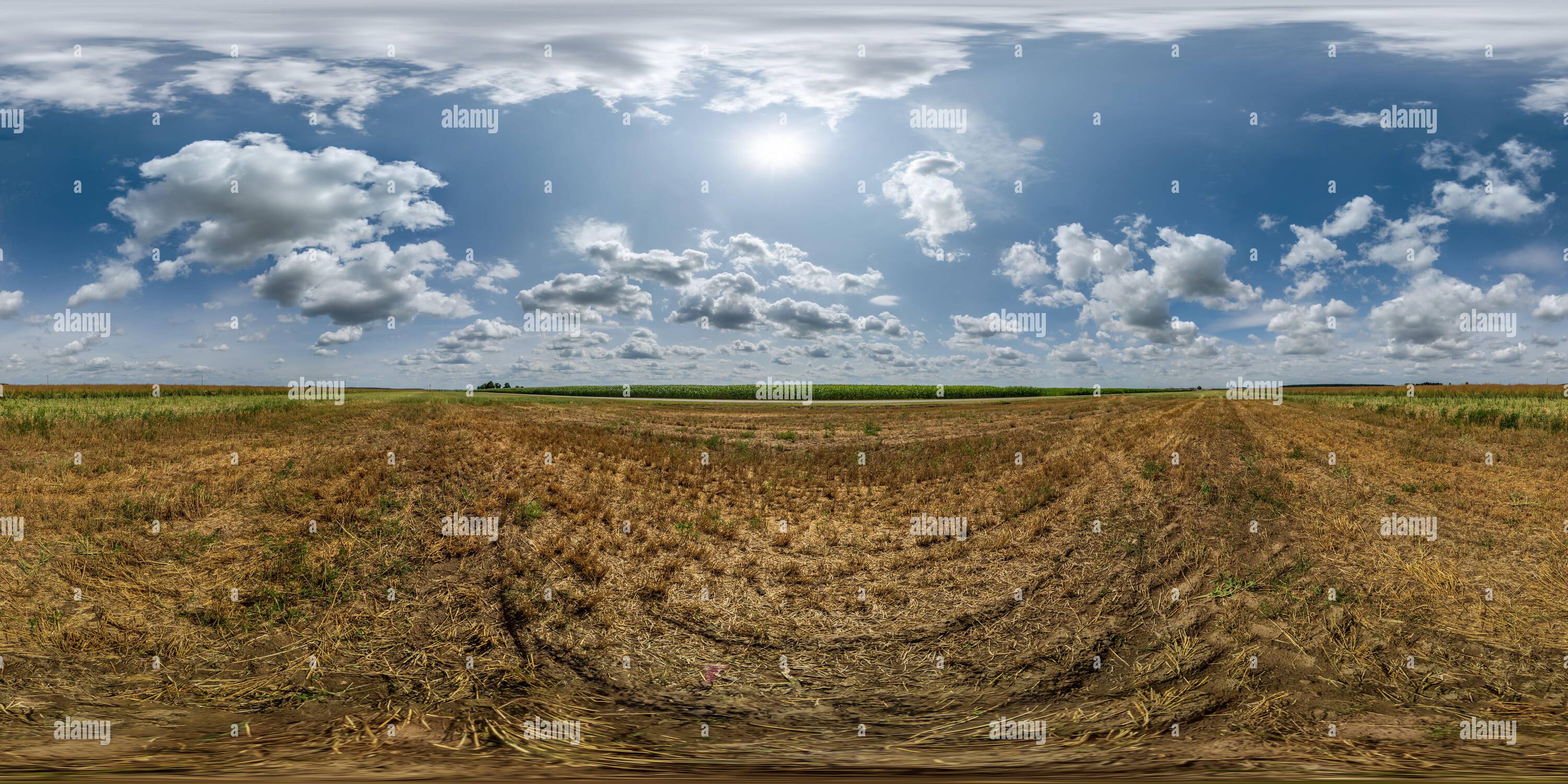 360° view of spherical 360 hdri panorama among green grass farming ...