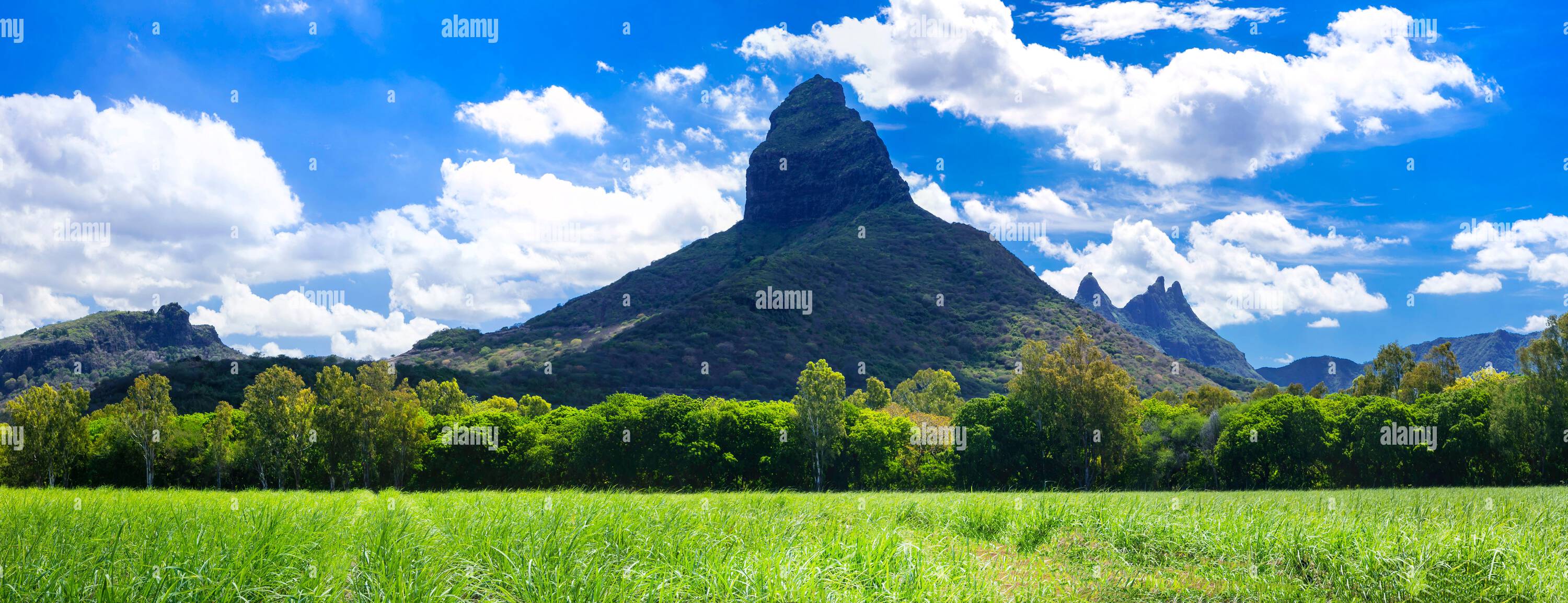 360° view of stunning tropical nature of Mauritius island, Rempart ...