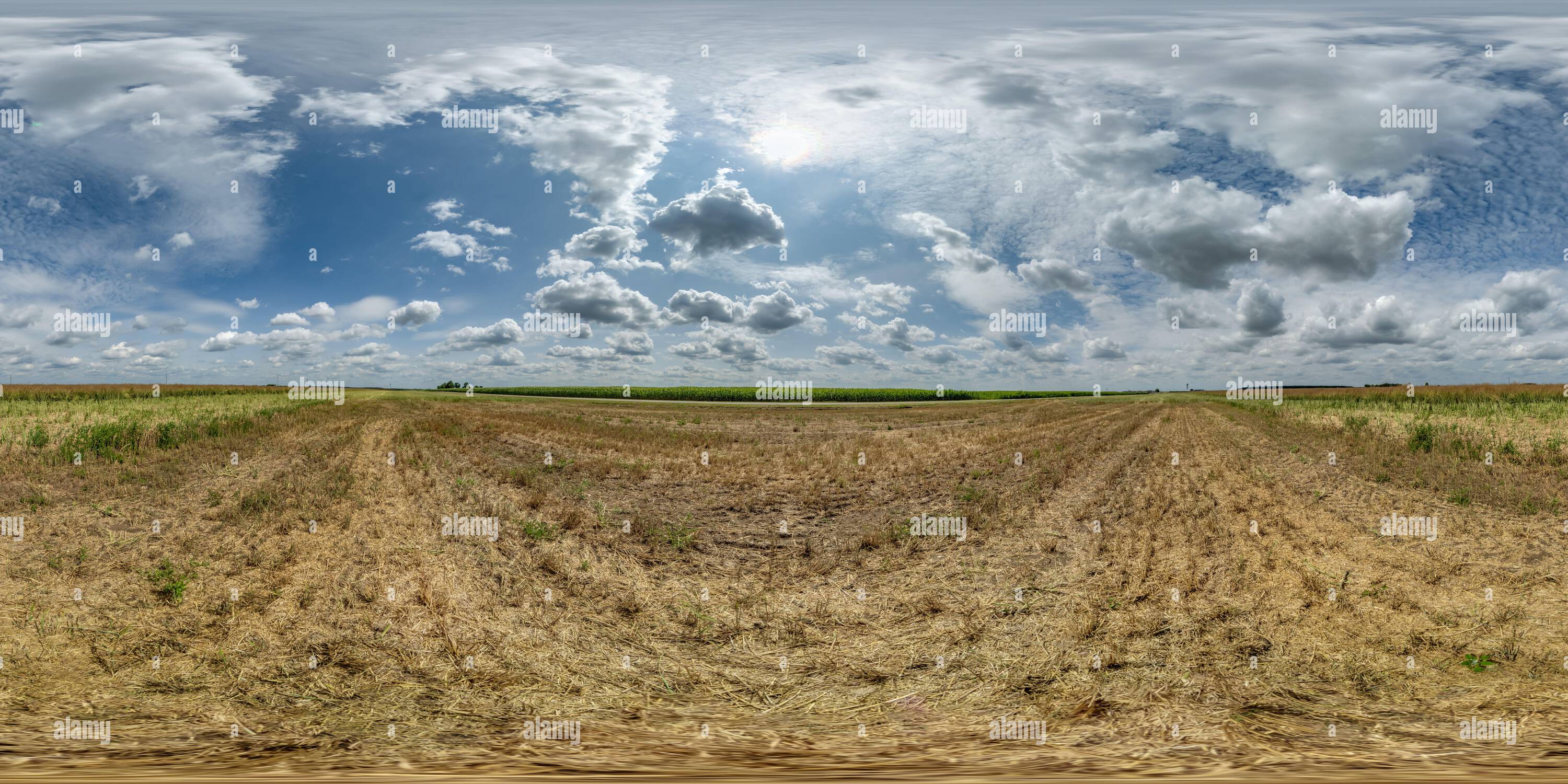 360° view of spherical 360 hdri panorama among yellow harvested farming ...