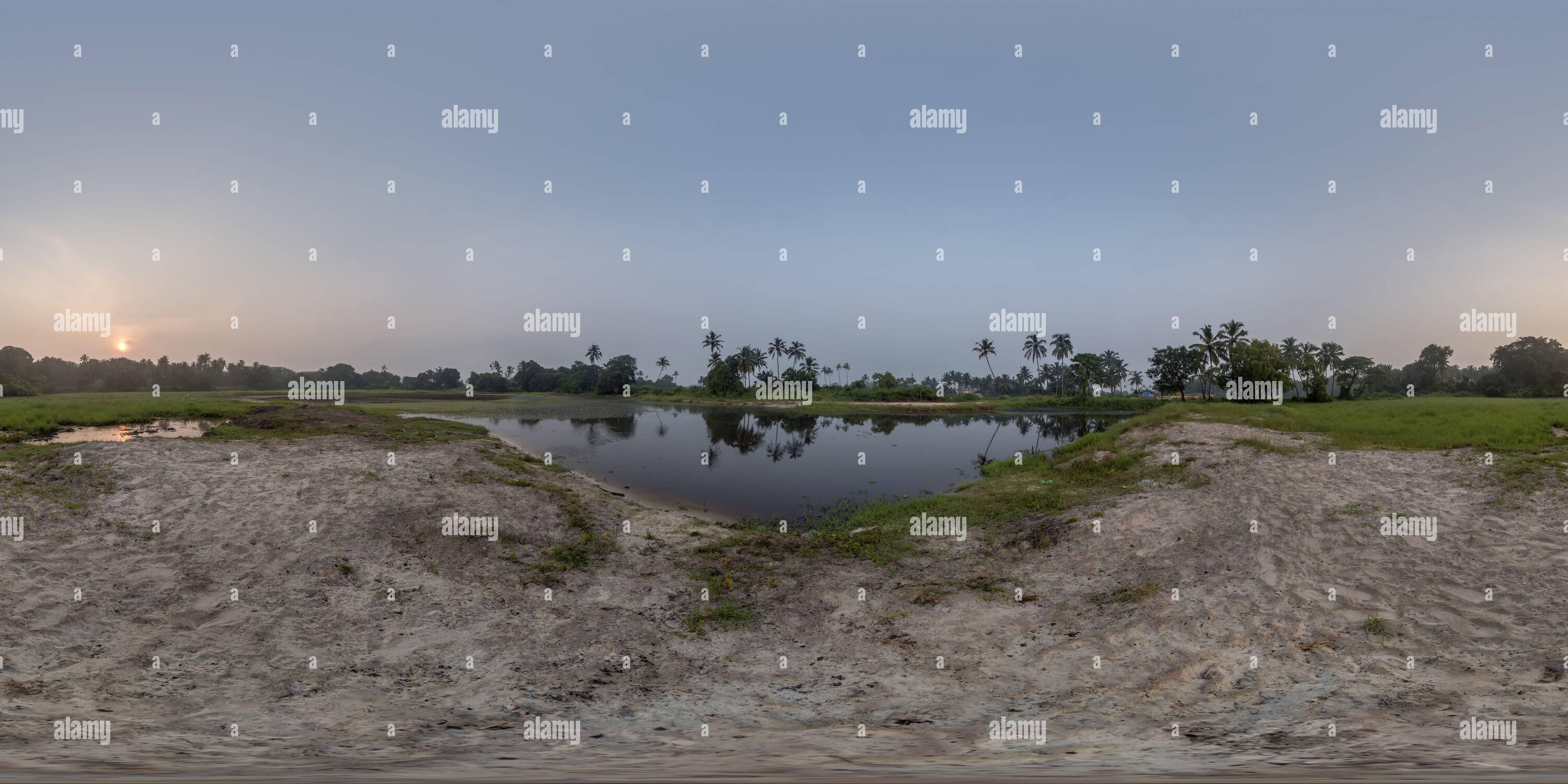 360° view of morning 360 hdri panorama with coconut trees near lake in ...