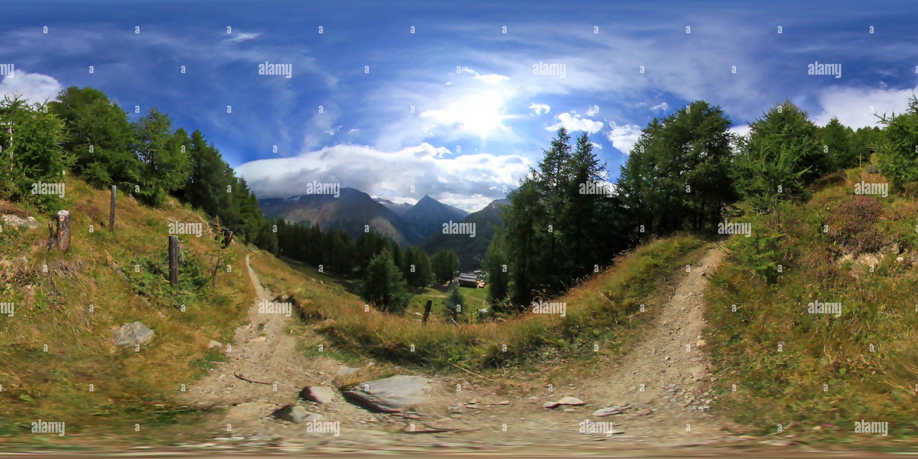 Alpziegenkase hi-res stock photography and images - Alamy