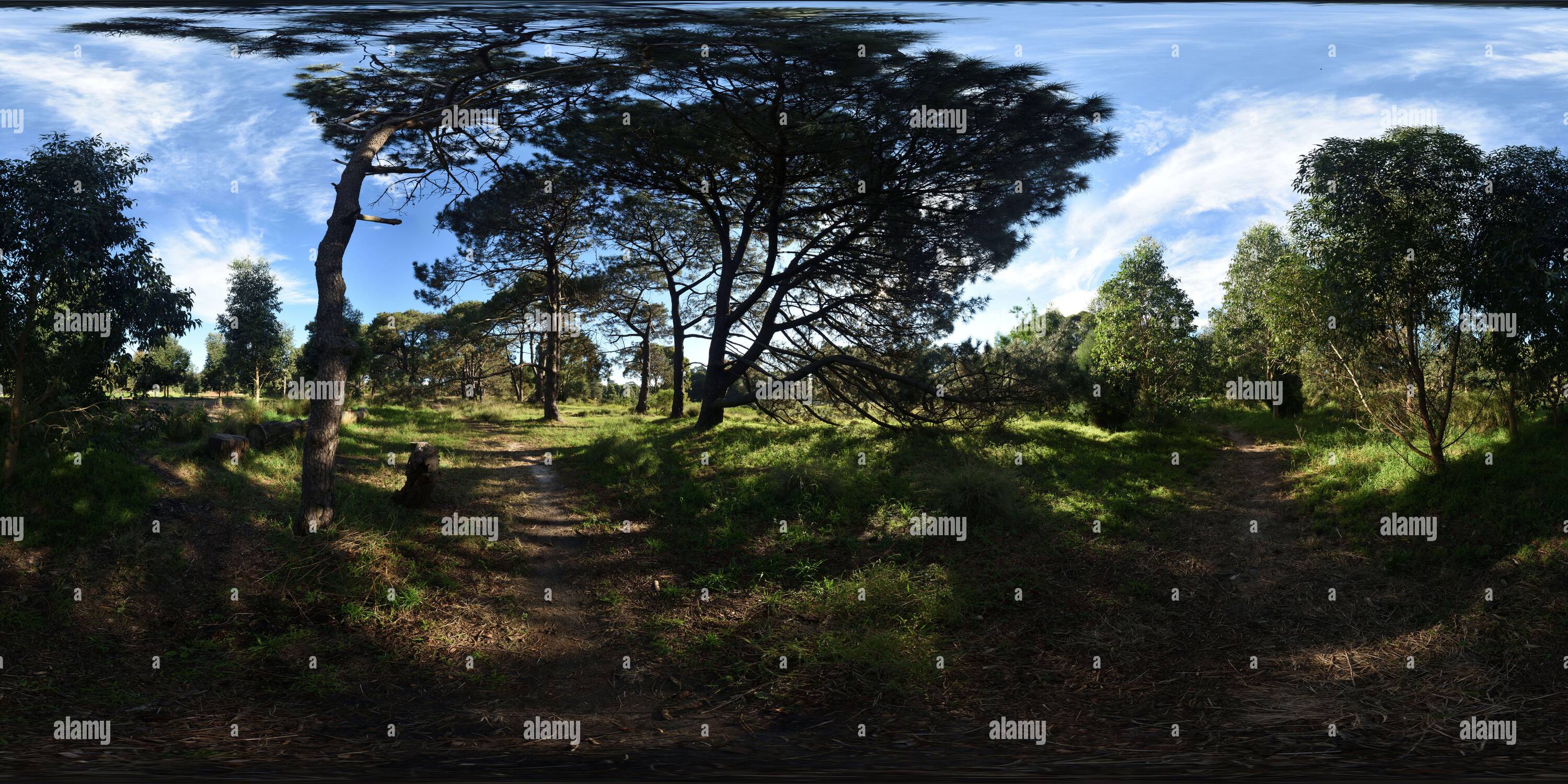 Fearnley grounds hi-res stock photography and images - Alamy