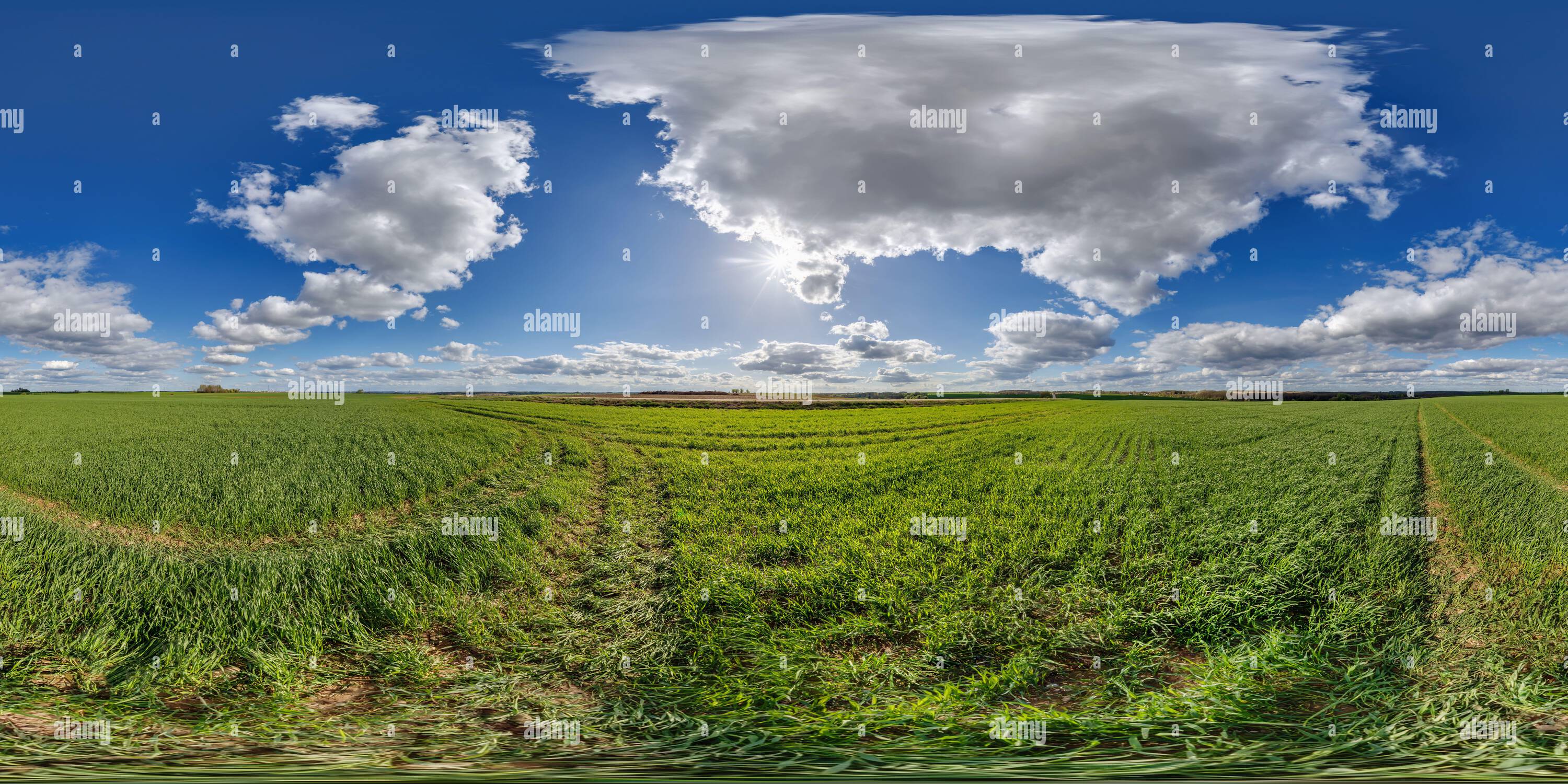 360° view of spherical 360 hdri panorama among green grass farming ...