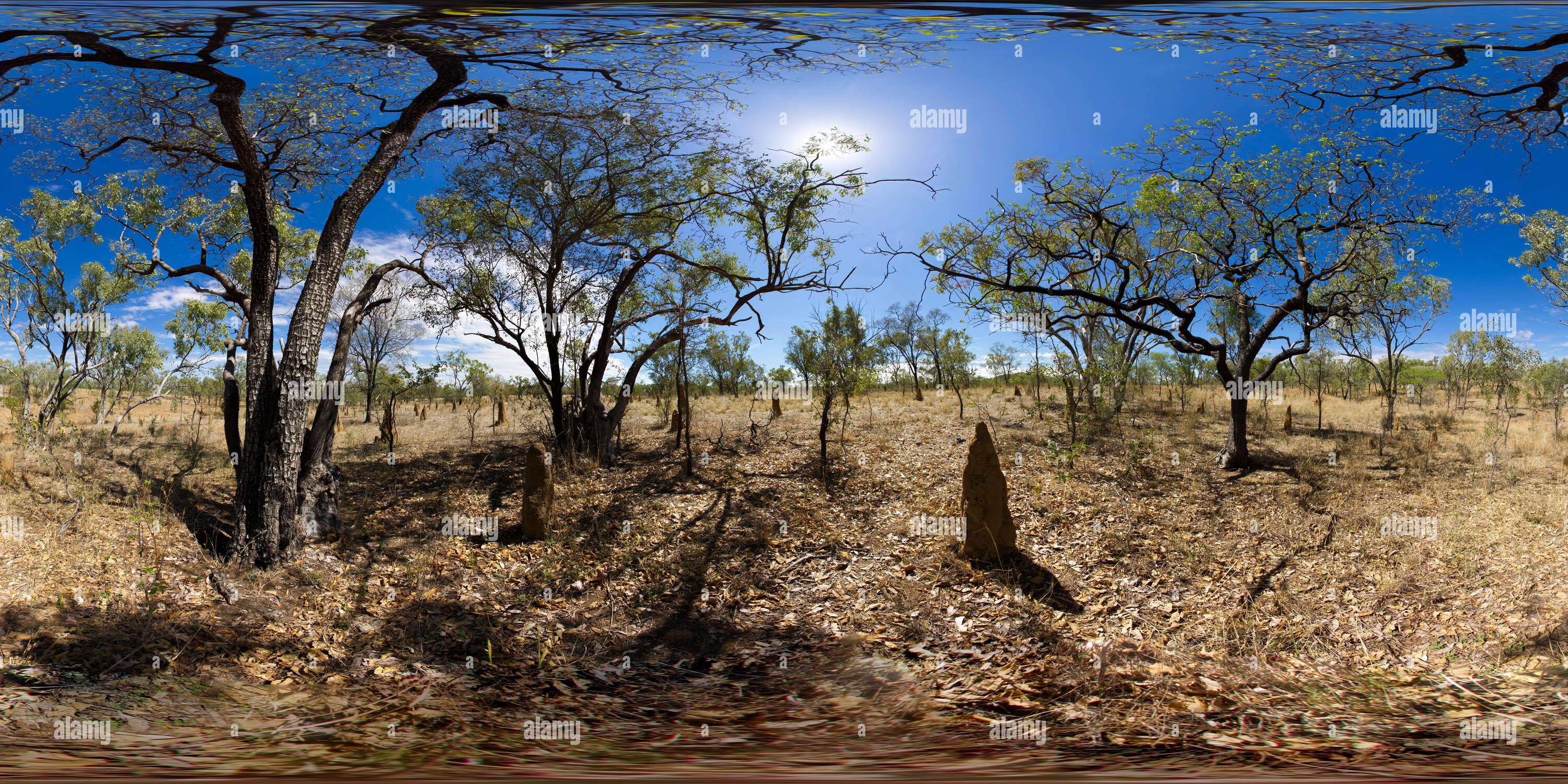 360° view of Termite mounds found all over the savannah lands in ...
