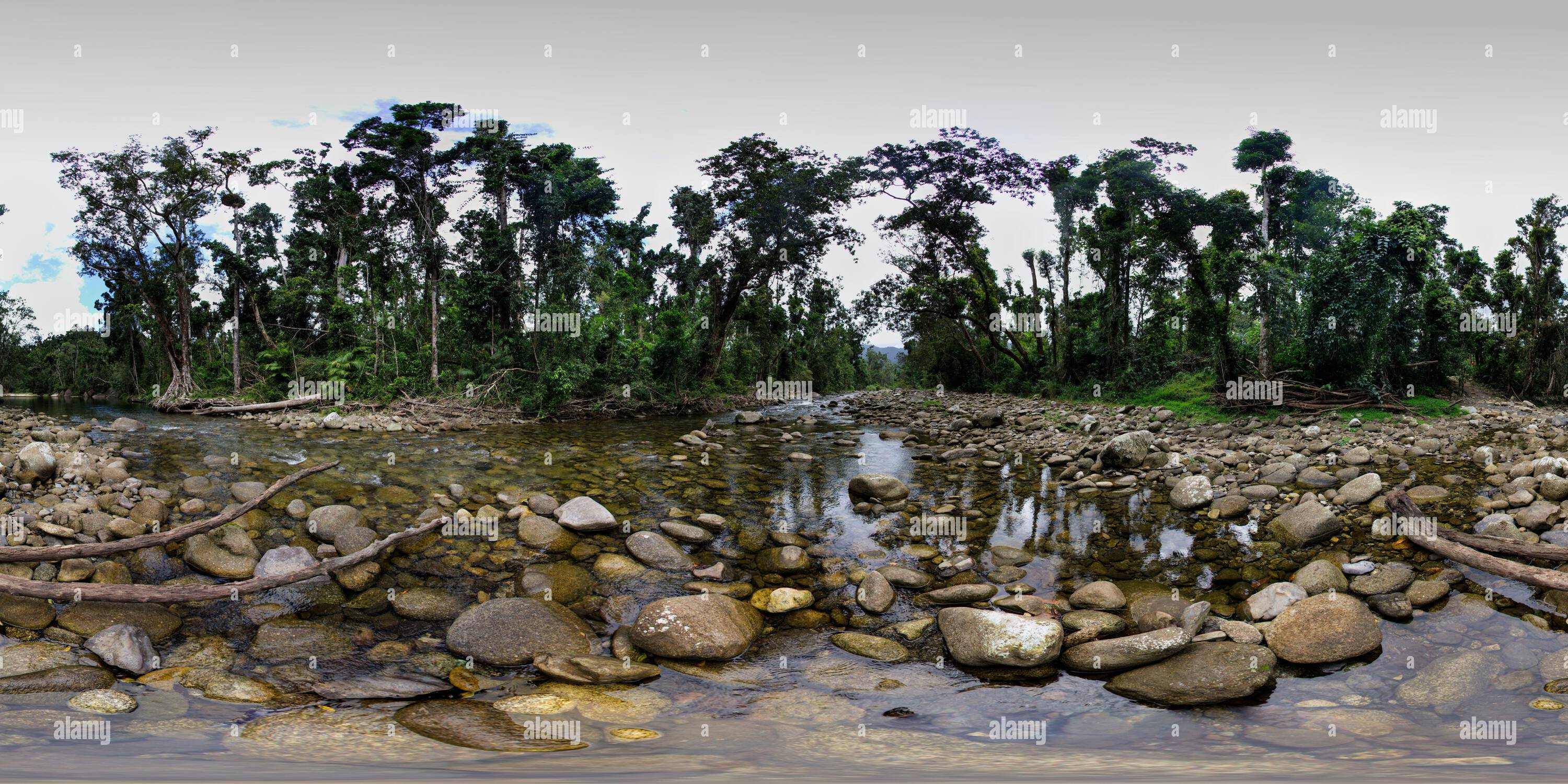 360° view of 360° panorama of tropical rainforest stream near Babinda ...