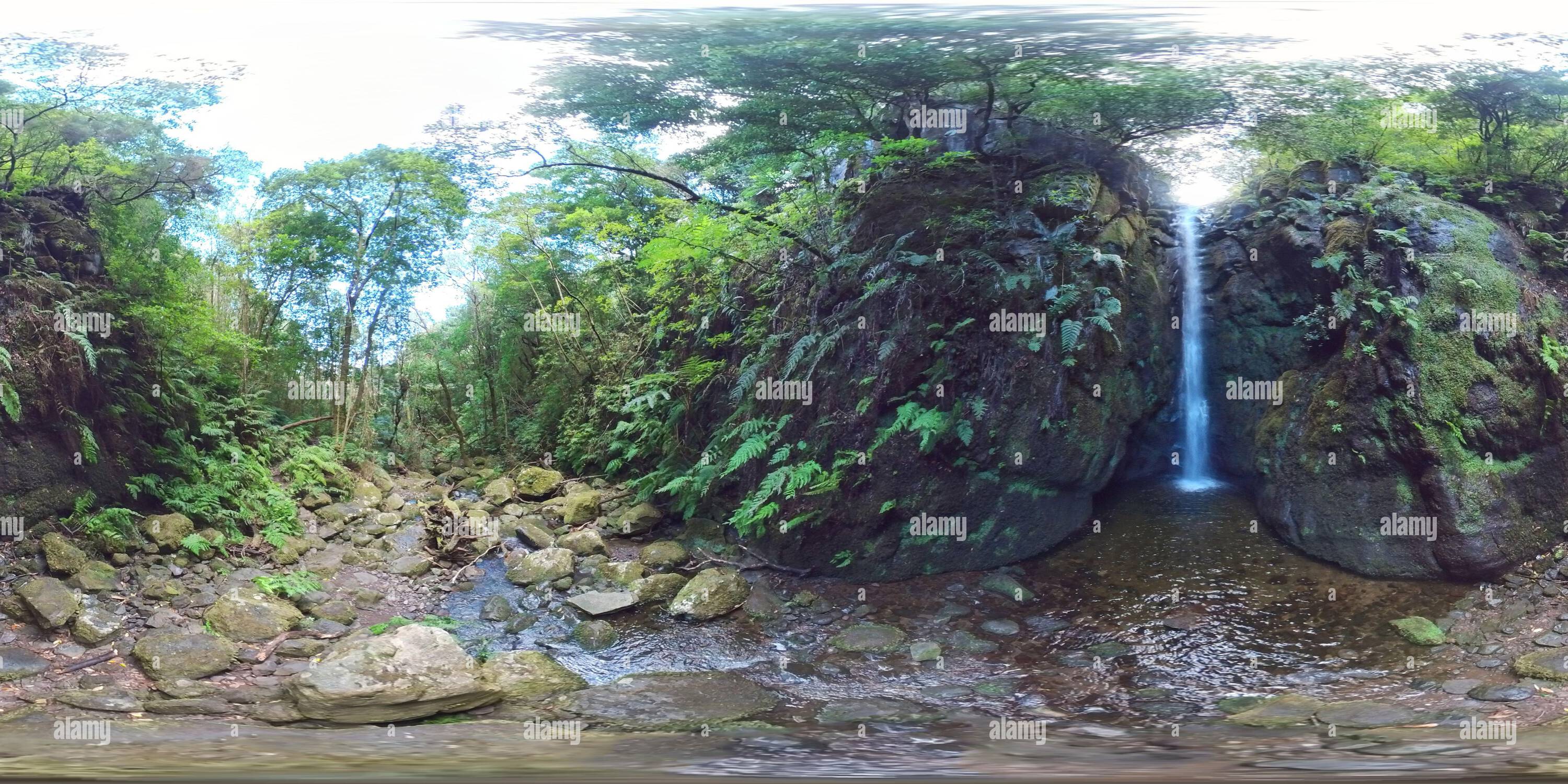 360° view of Hidden Waterfall in the Forest, Madeira, Portugal - 360 VR ...