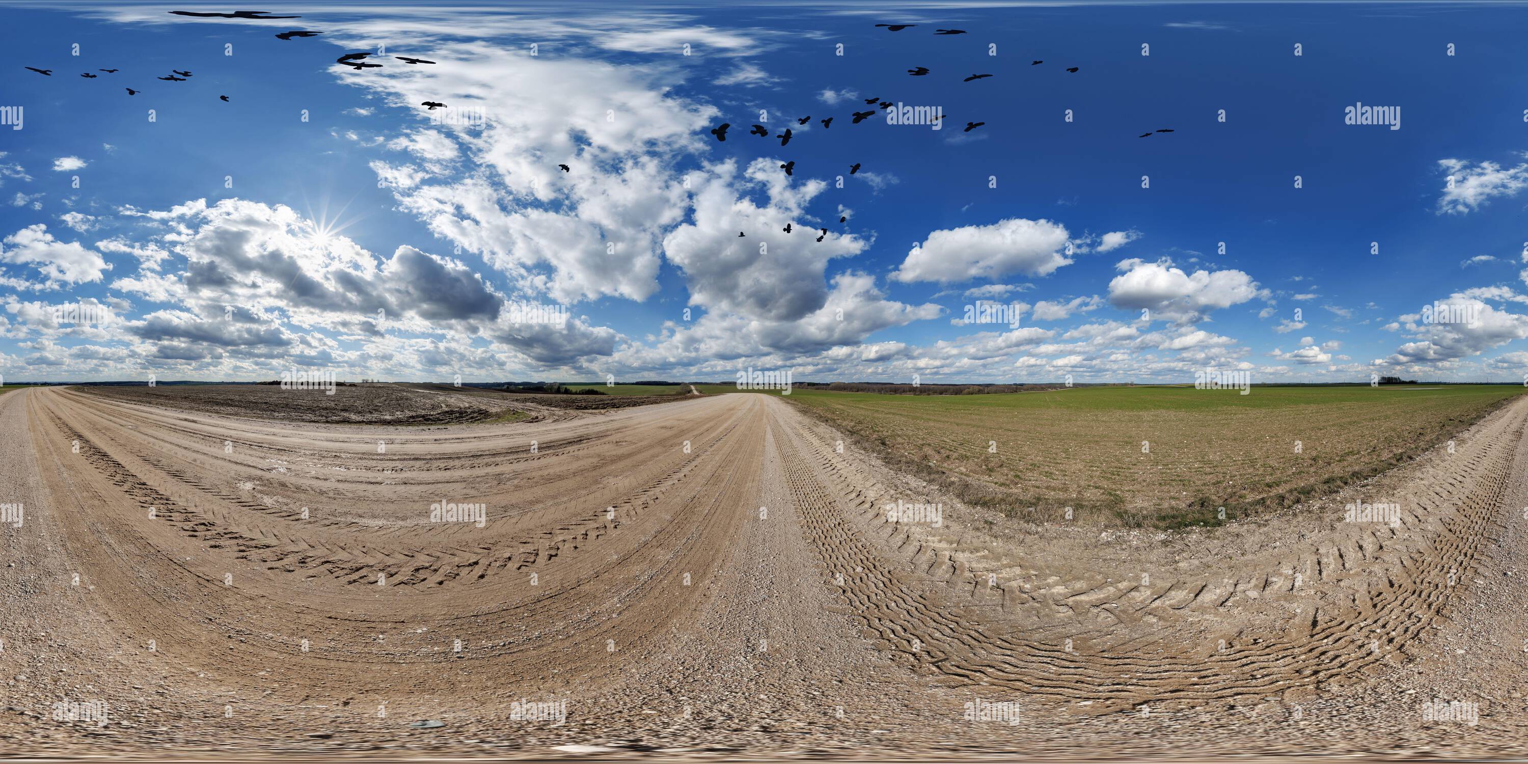 360° view of blue sky hdri 360 panorama with awesome clouds with flock ...