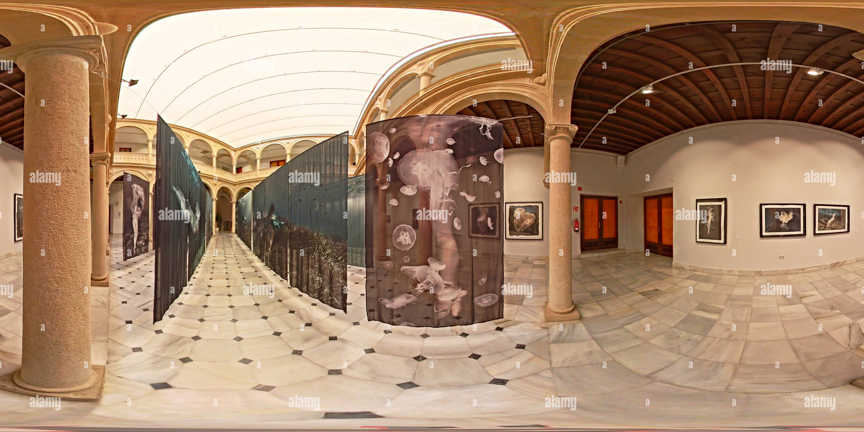 360° view of 360 report of Isabel Muñoz's exhibition, entitled WATER ...