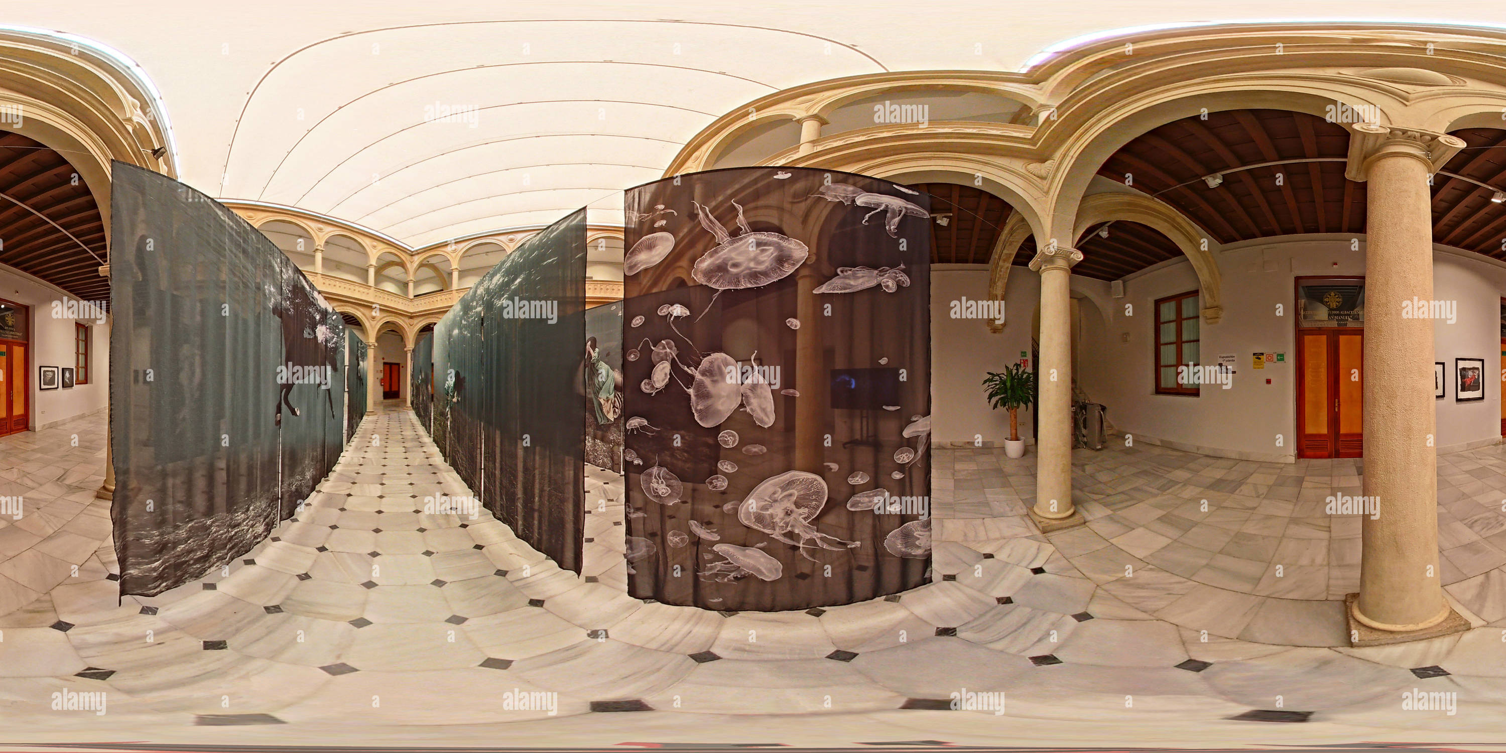 360° view of 360 report of Isabel Muñoz's exhibition, entitled WATER ...