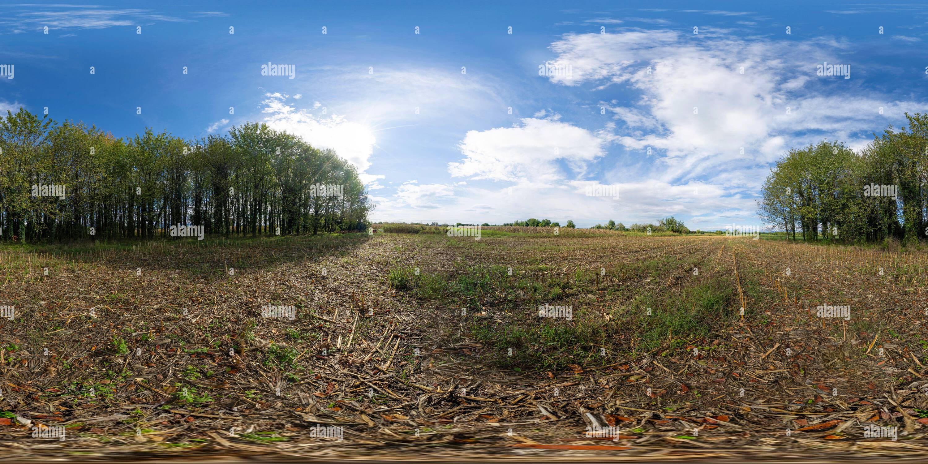 360° view of 360 photo VR of a countryside grove in autumn - Alamy