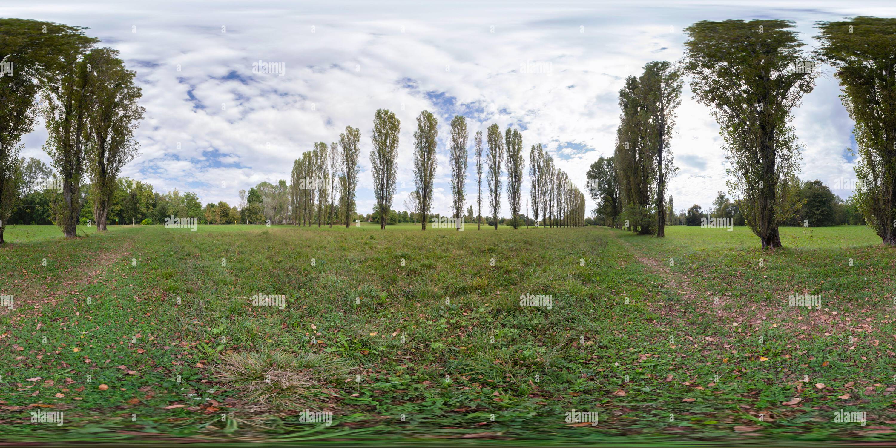 360° view of 360 photo VR of a countryside grove in autumn - Alamy