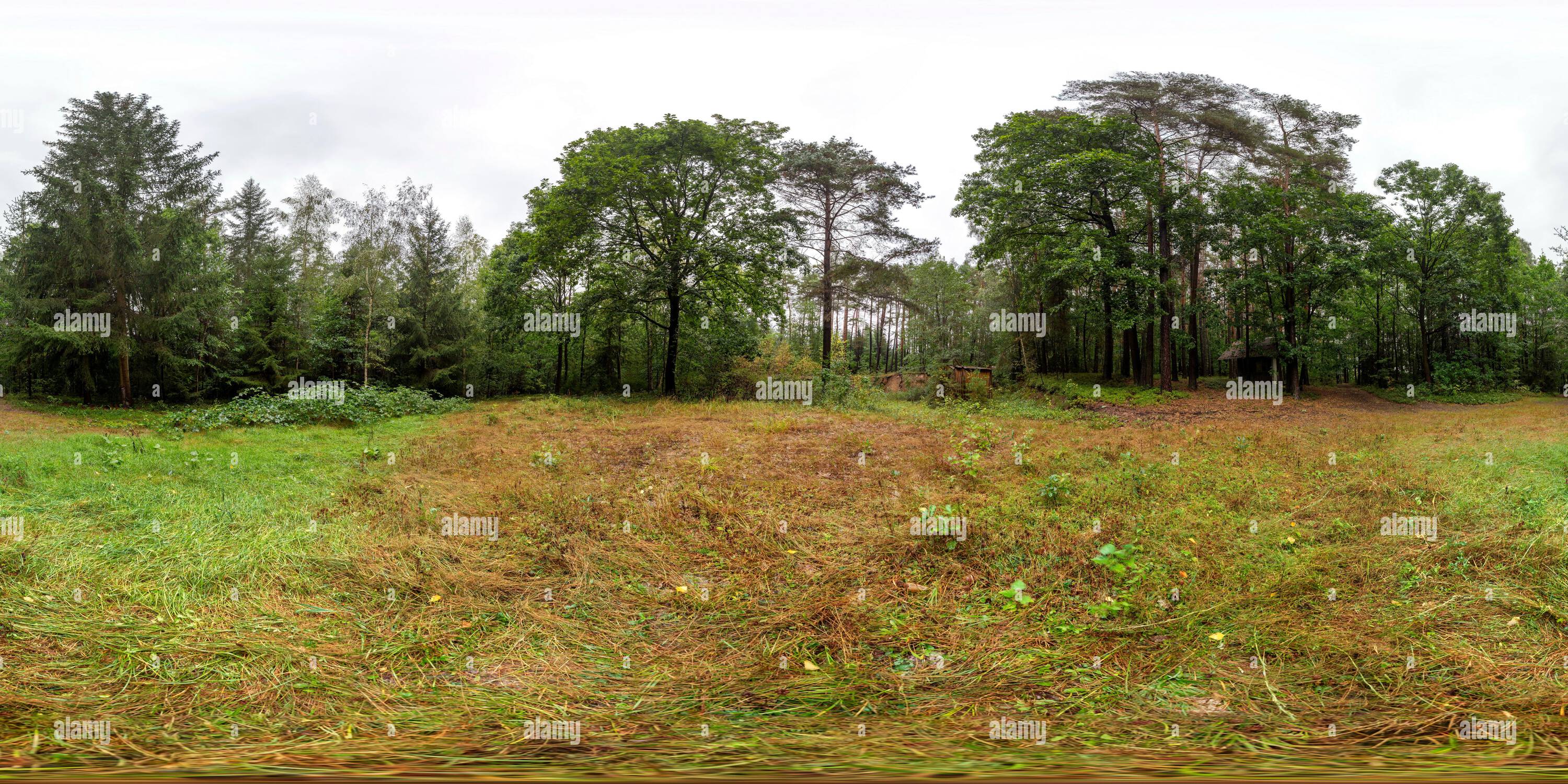 360° view of Rural landscape in early autumn. HDRI Panorama - Alamy