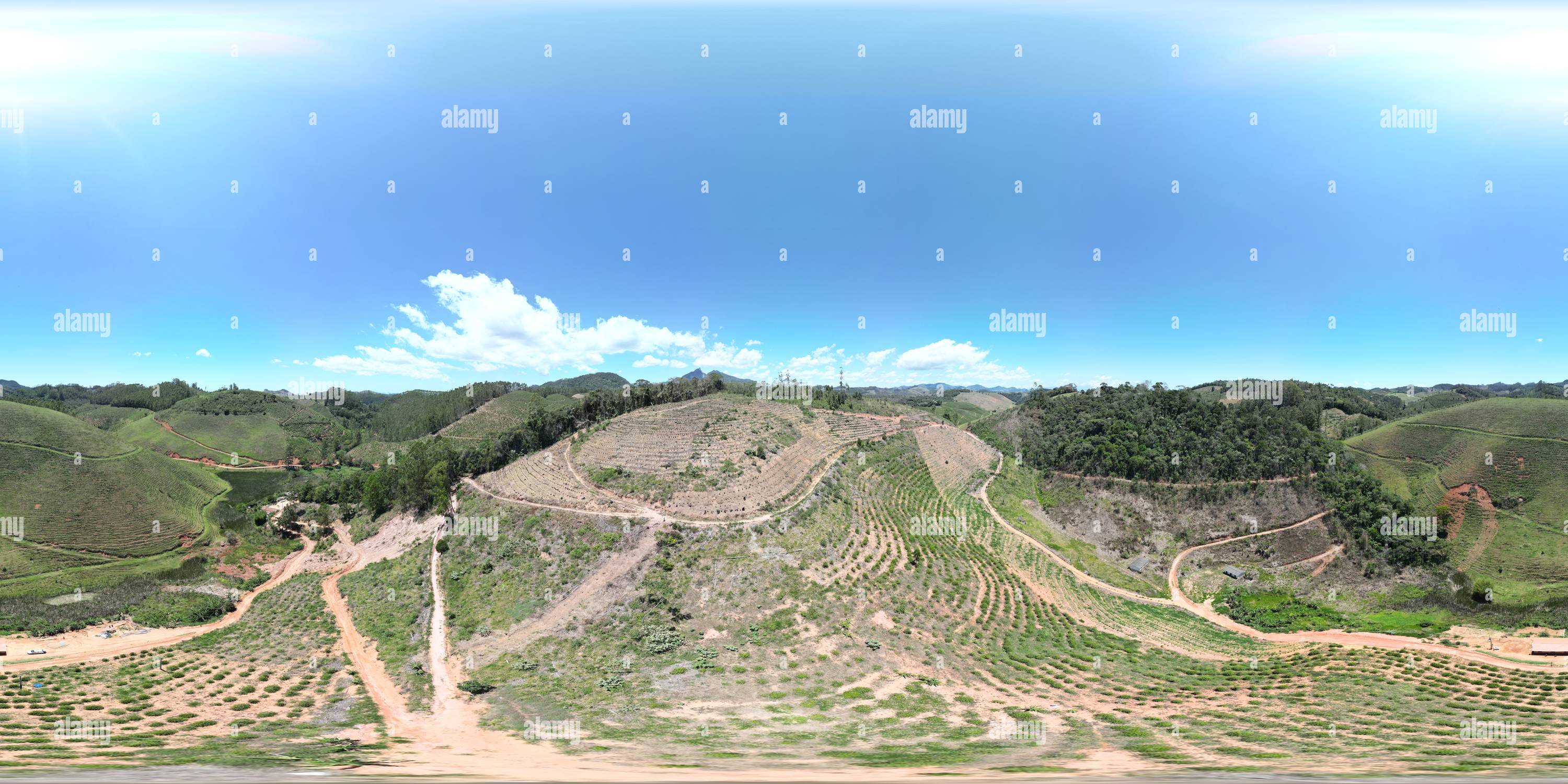 Mundo novo 1 hi-res stock photography and images - Alamy