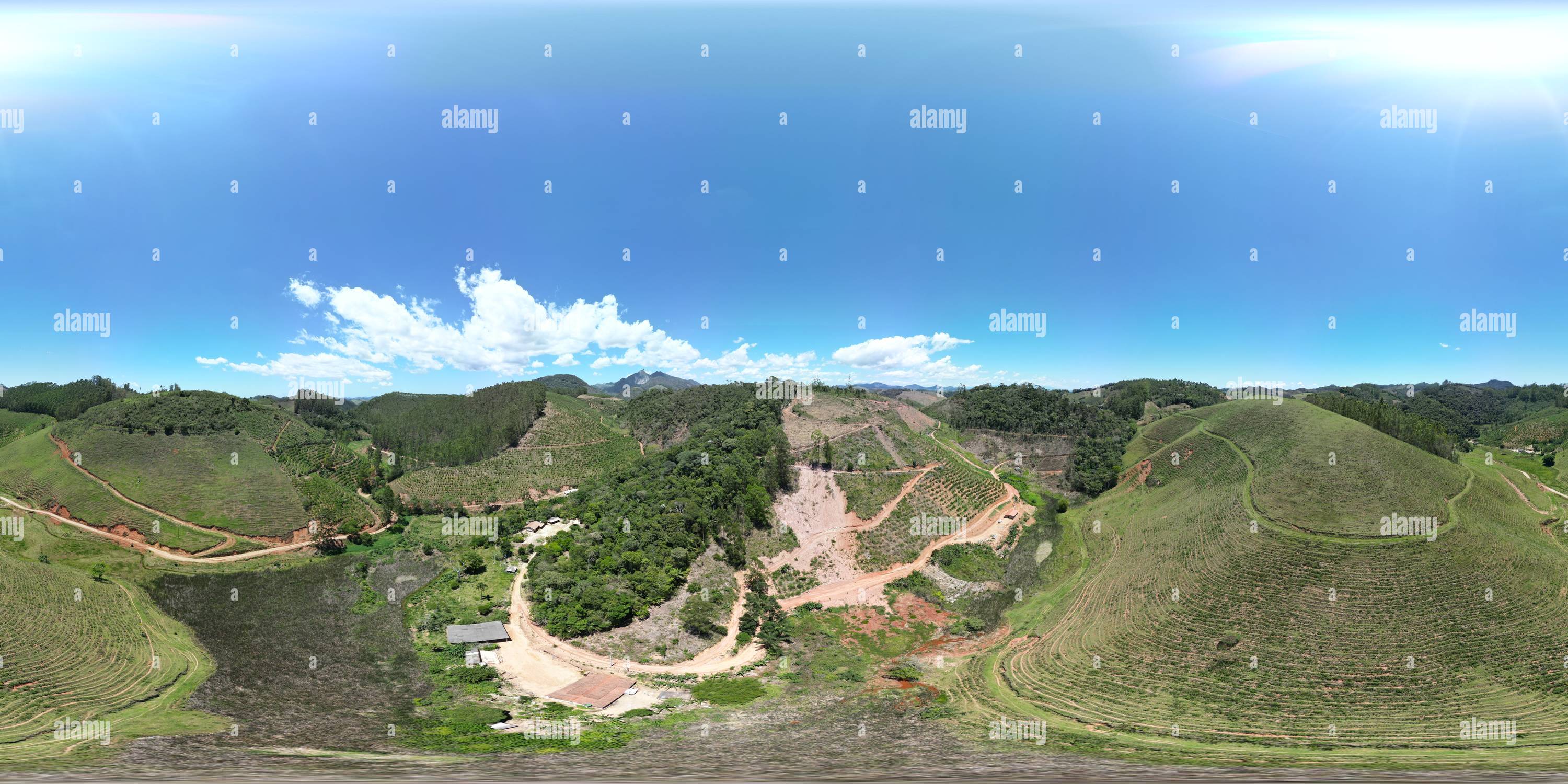 Fazenda mundo novo hi-res stock photography and images - Alamy