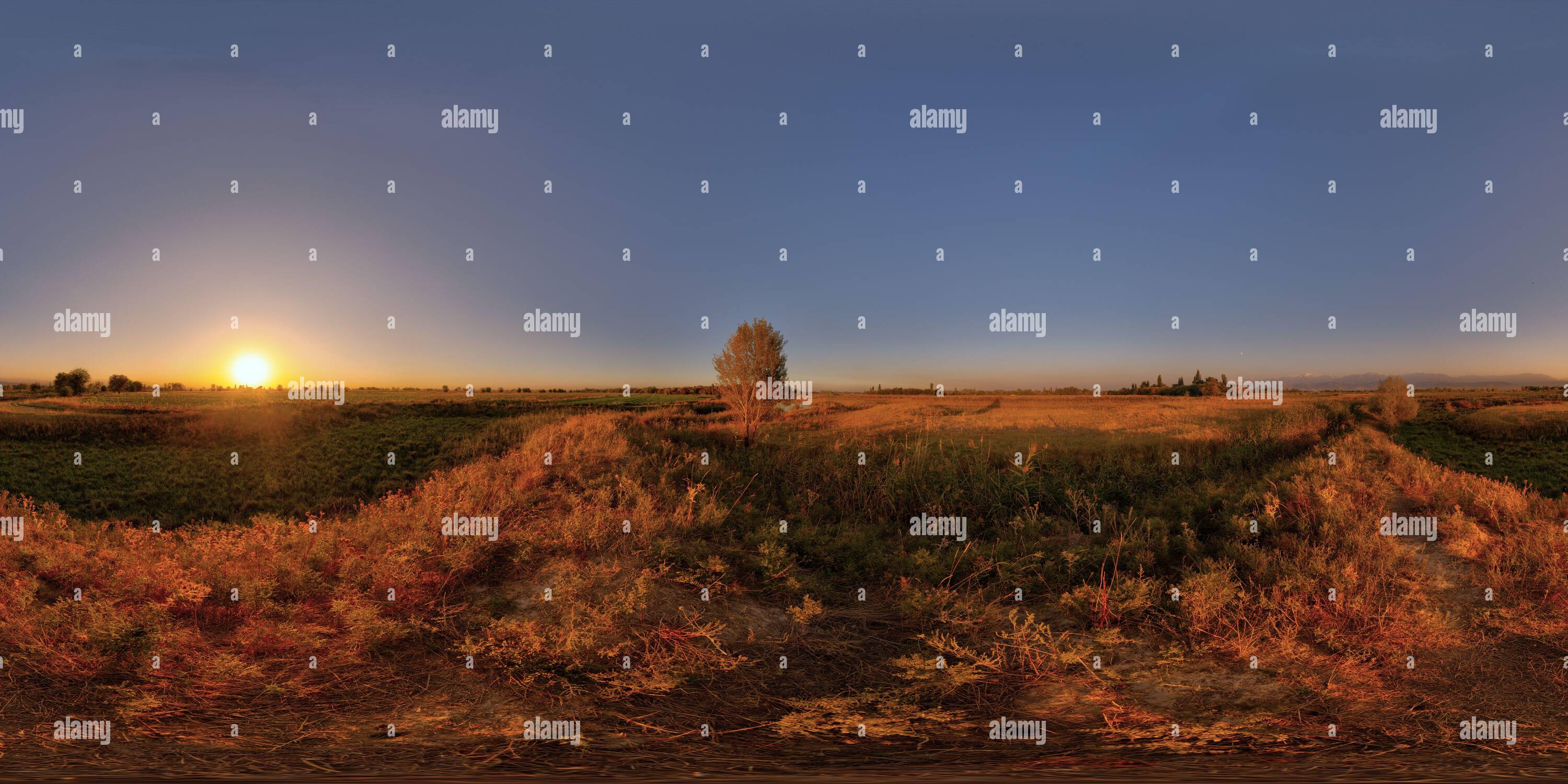 360° view of Full Spherical panorama of frural agricultural fields area ...