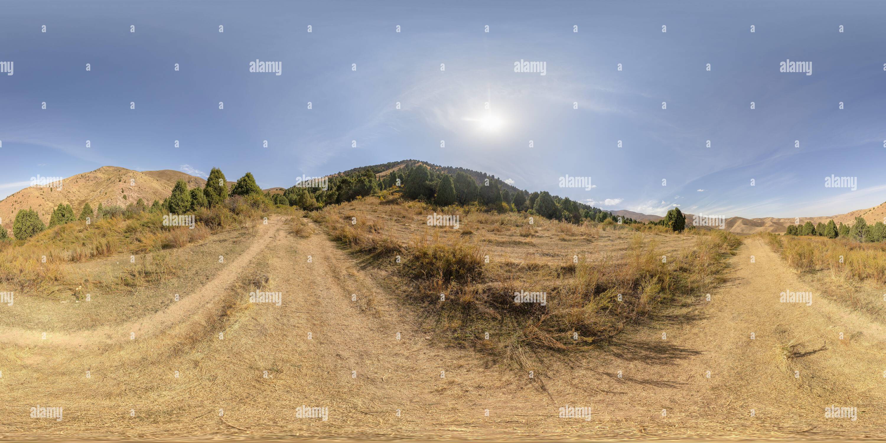 360° view of Full Spherical panorama of dry yellow dusty footpath in ...
