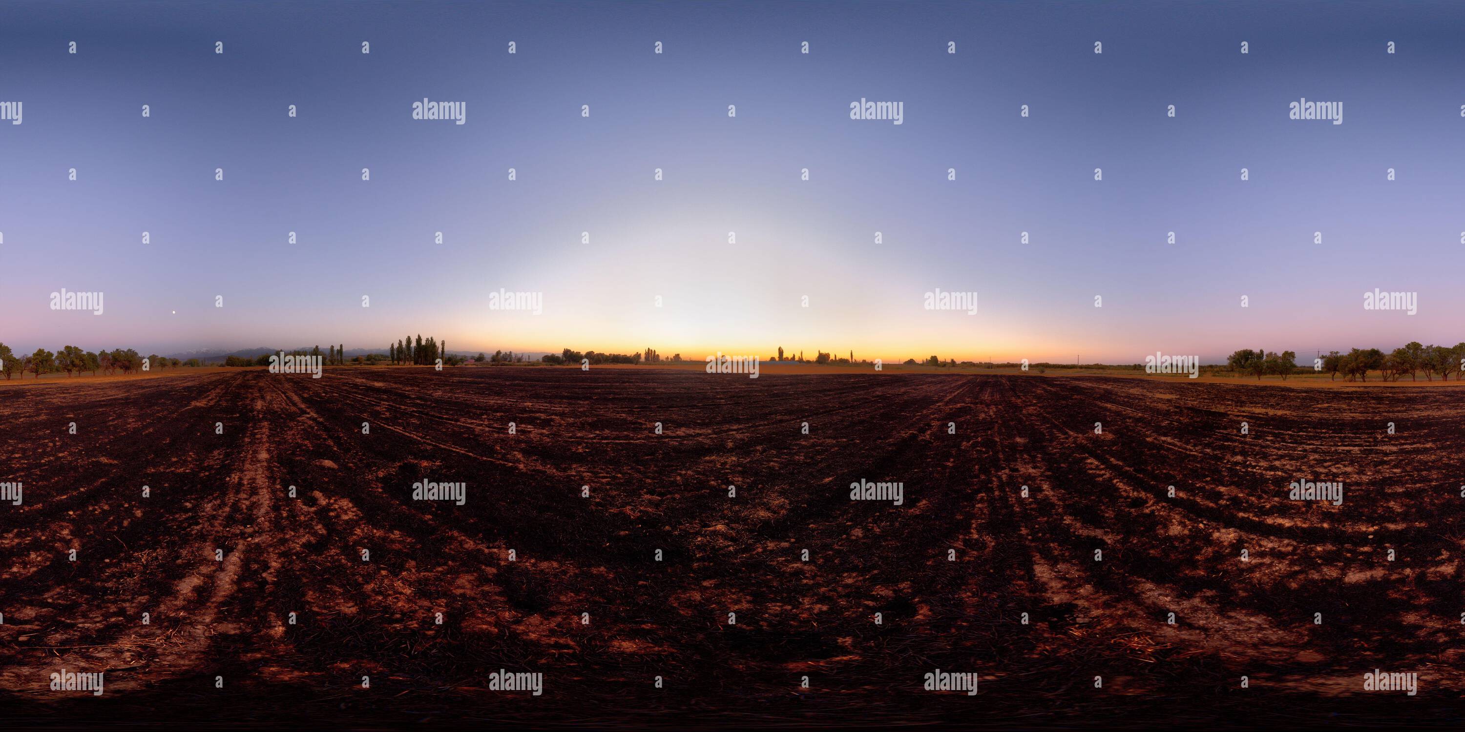 360° view of Full spherical panorama of a burnt agricultural field at ...