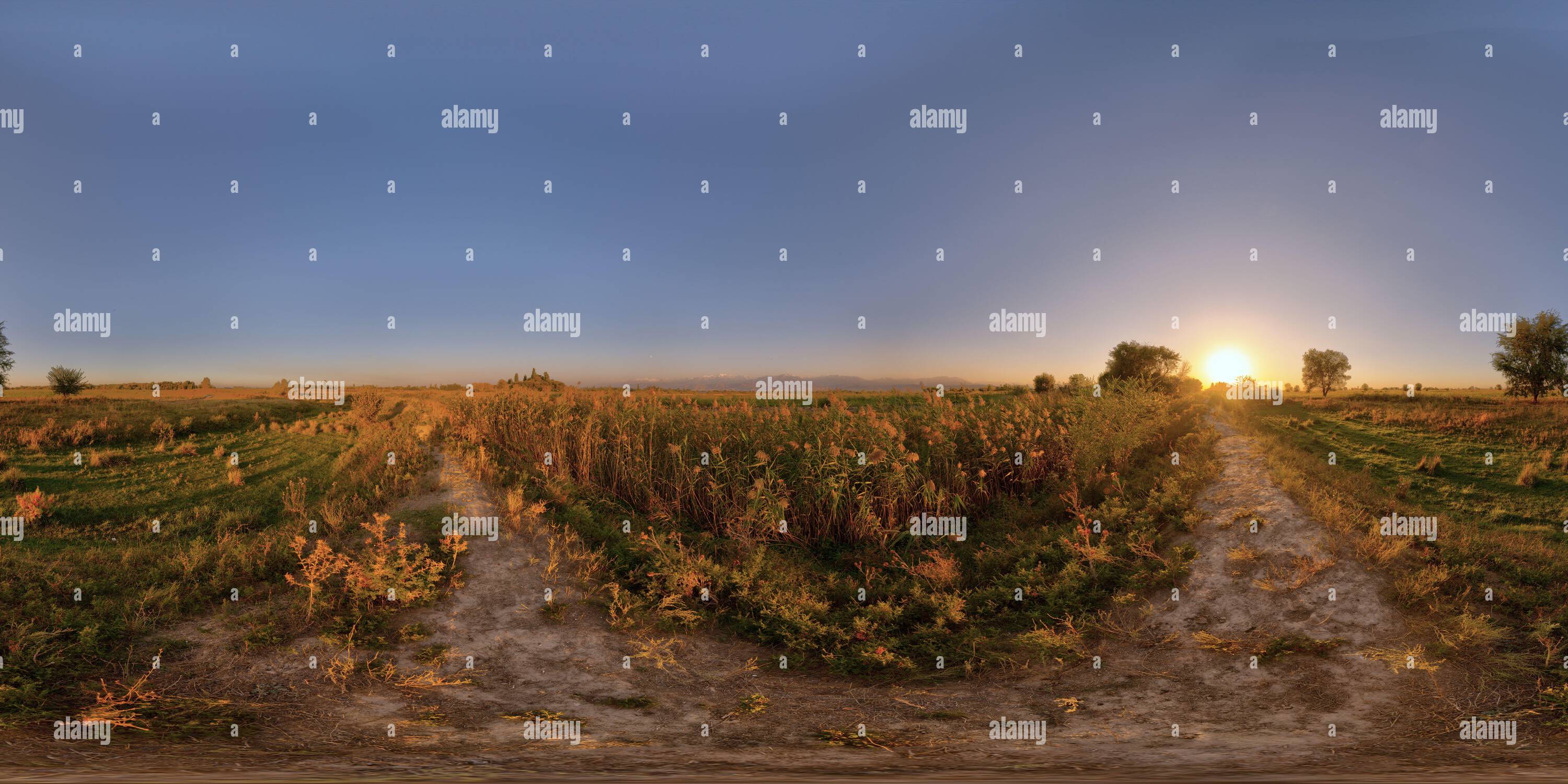 360° view of Full Spherical panorama of footpath between agricultural ...