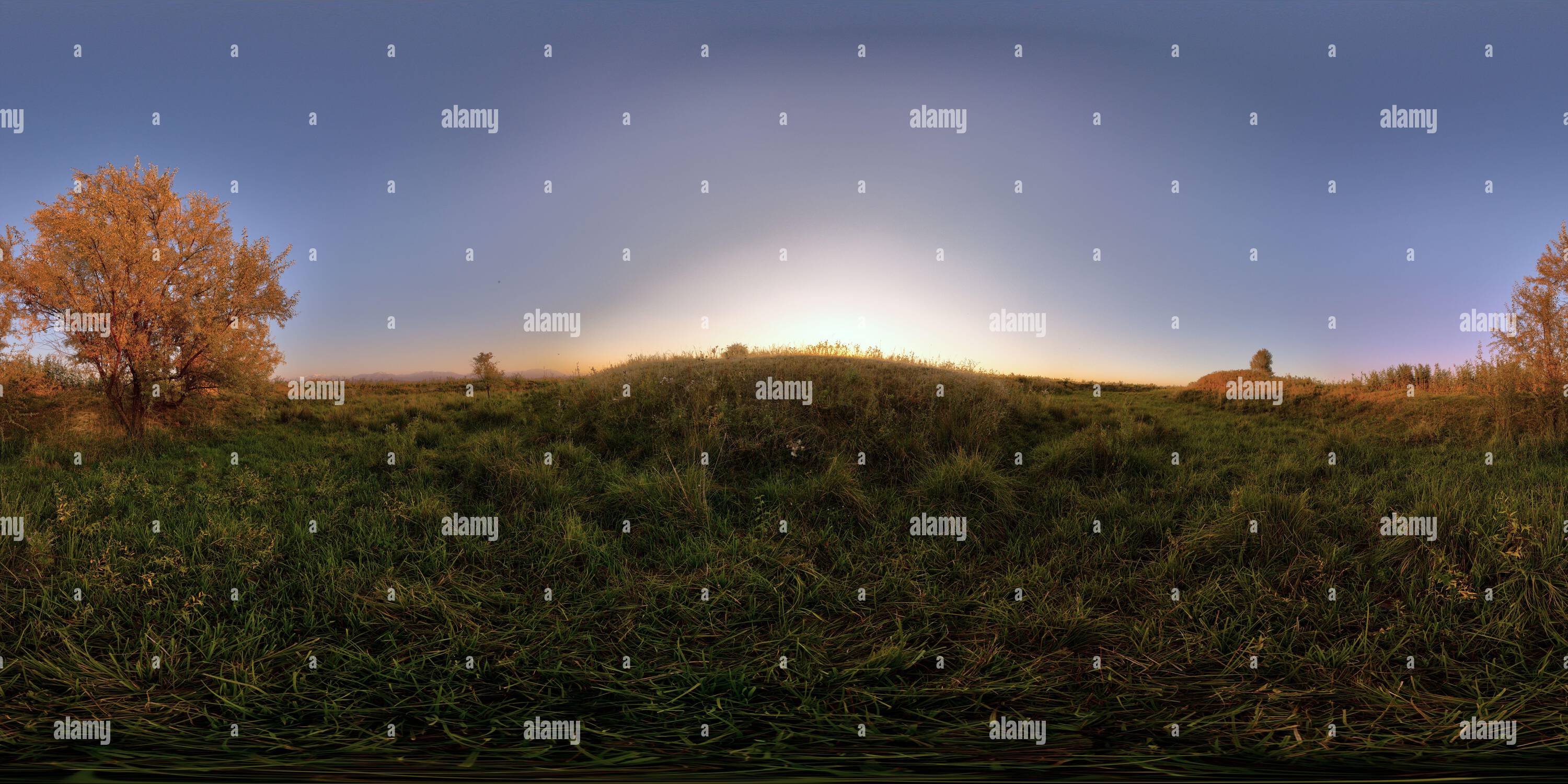 360° view of Full spherical panorama of green swampy ravine at summer ...