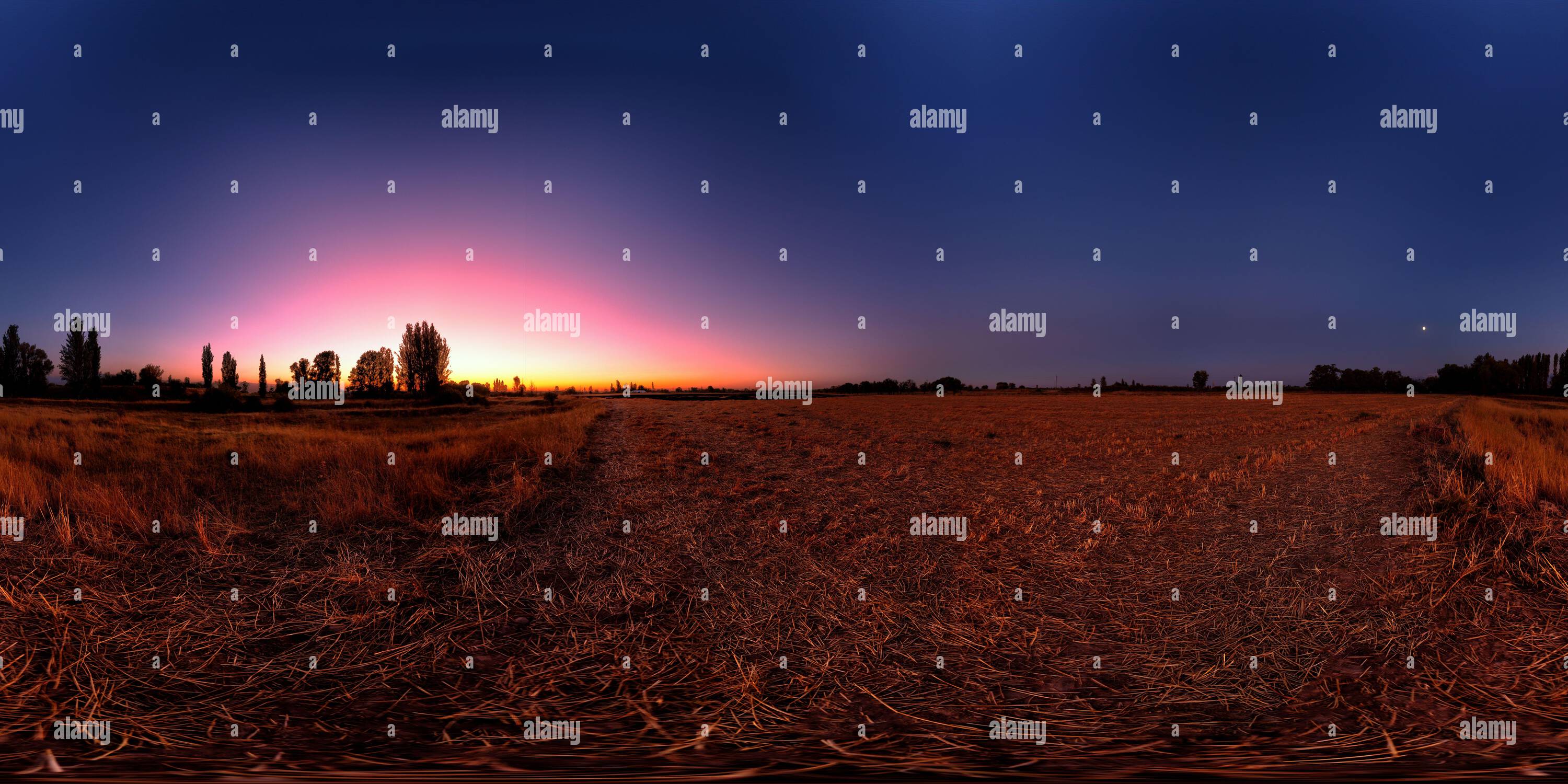 360° view of Full Spherical tone-mapped HDRi panorama of moved straw ...