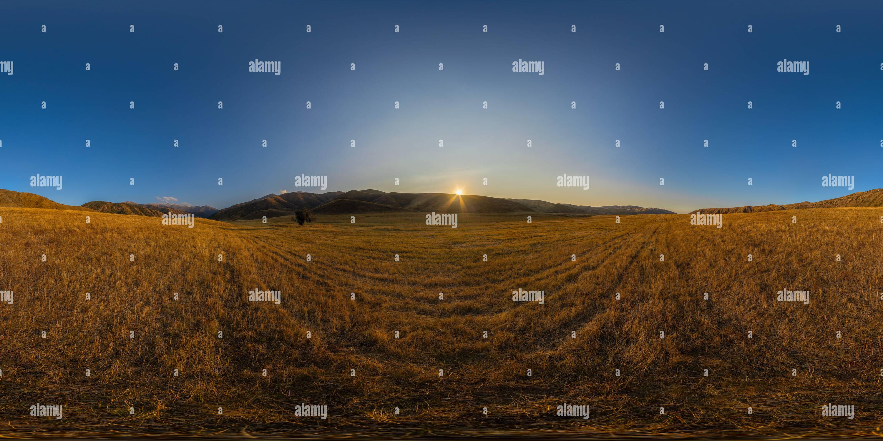 360° view of Full Spherical panorama of straw moved agricultural field ...