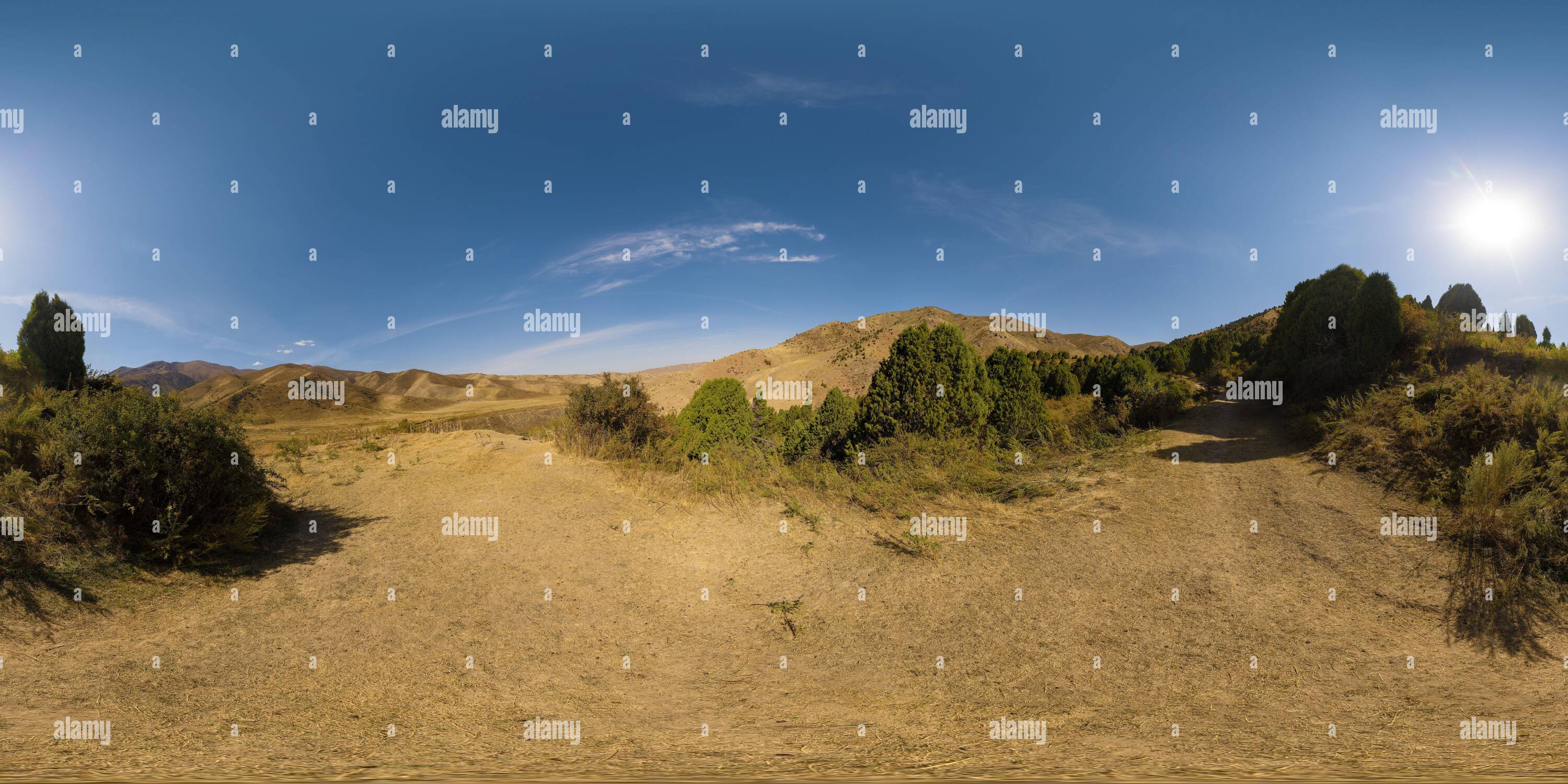 360° view of Full Spherical panorama of dry yellow dusty footpath in ...
