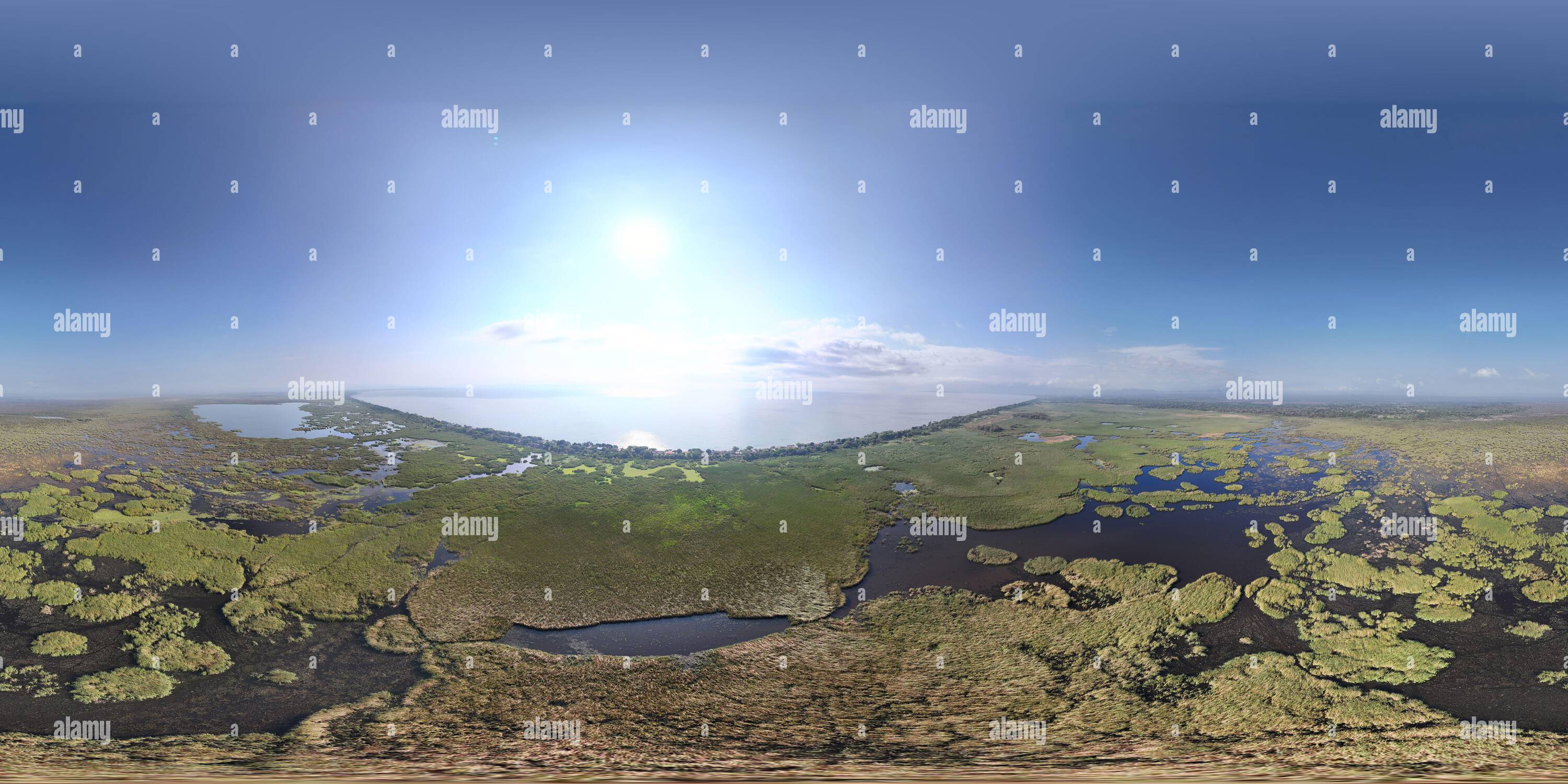360° view of Lush wetlands display intricate water channels and vibrant ...
