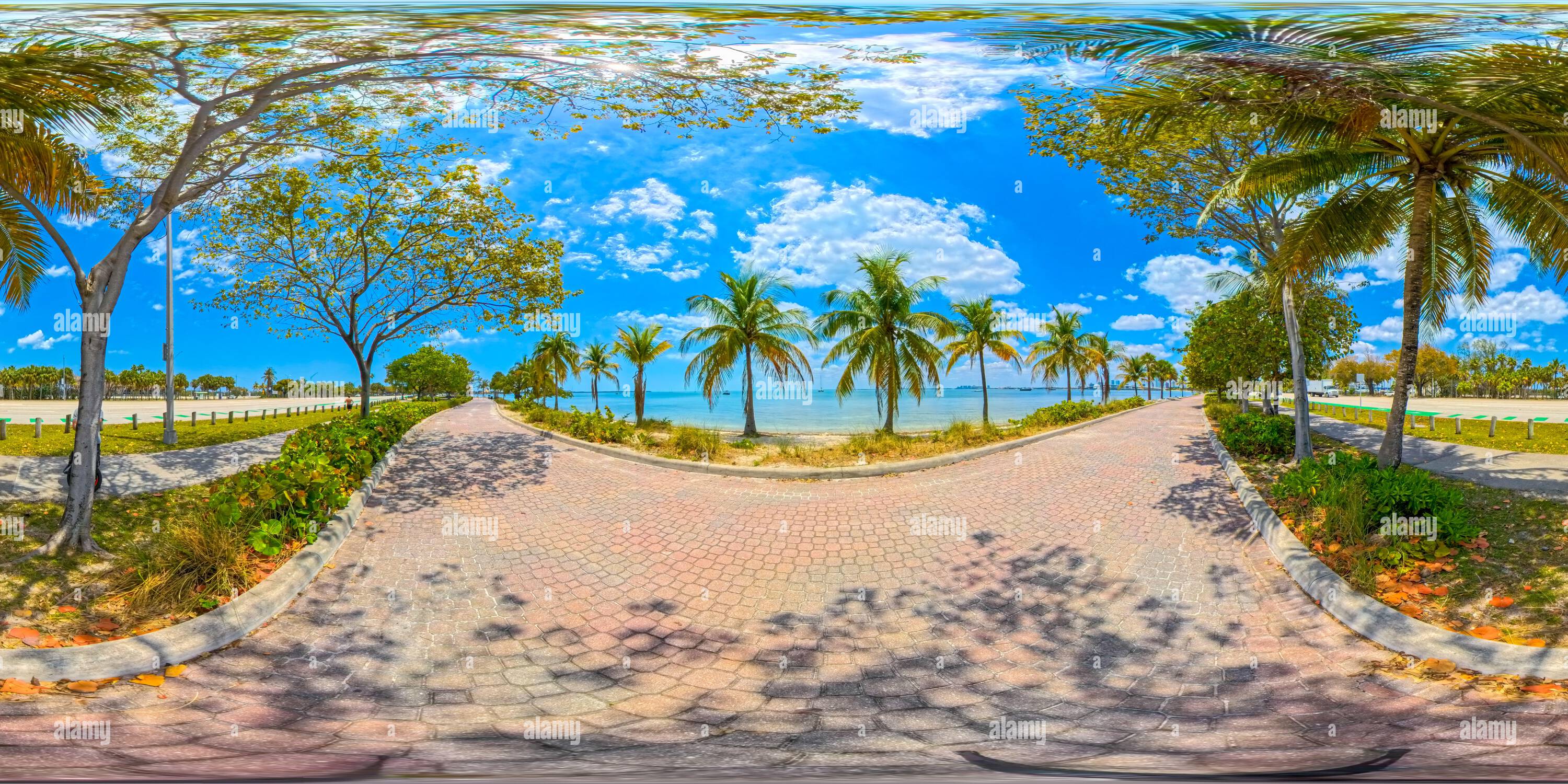 360° view of Miami Key Biscayne tropical scene. 360 vr equirectangular ...