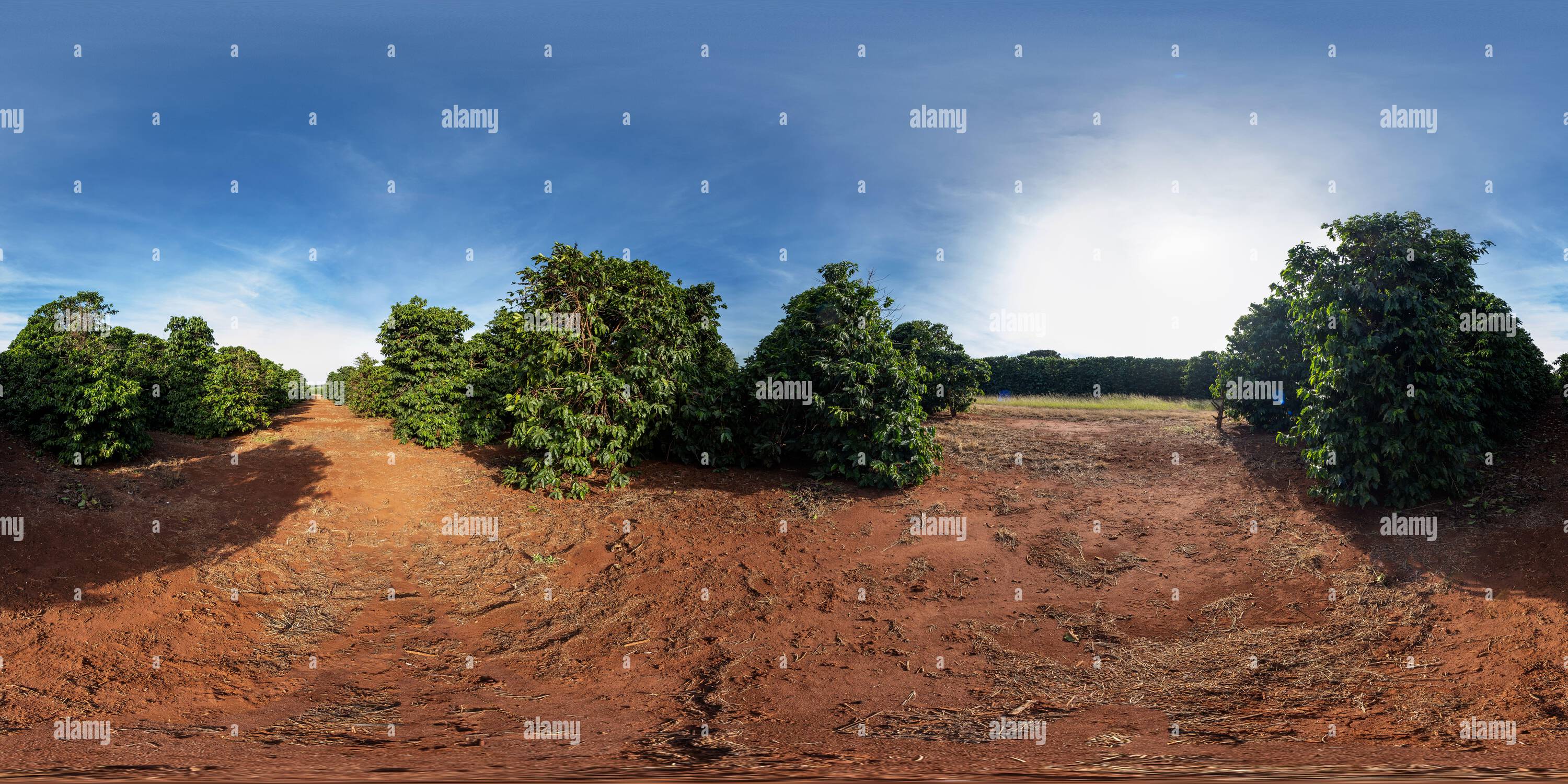 360 vr photography hi-res stock photography and images - Alamy