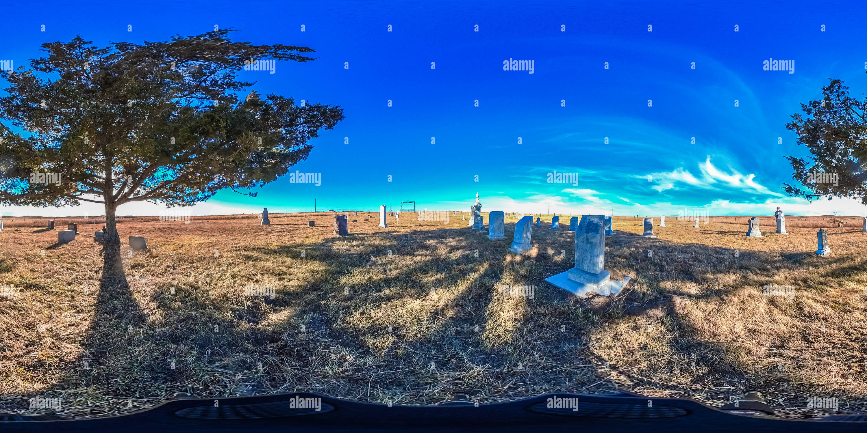 Merriman hi-res stock photography and images - Alamy