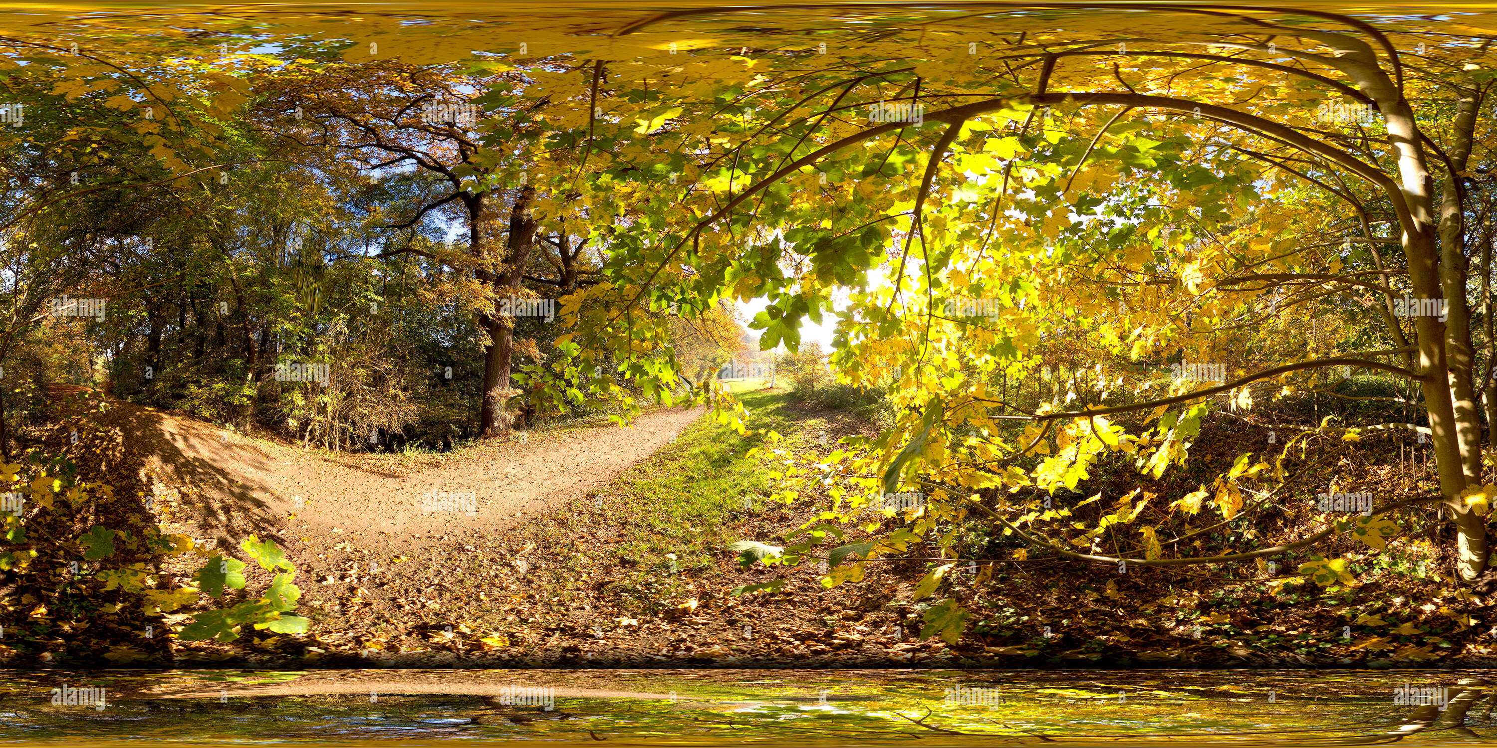 360° view of Autumn in the Alster valley - Alamy