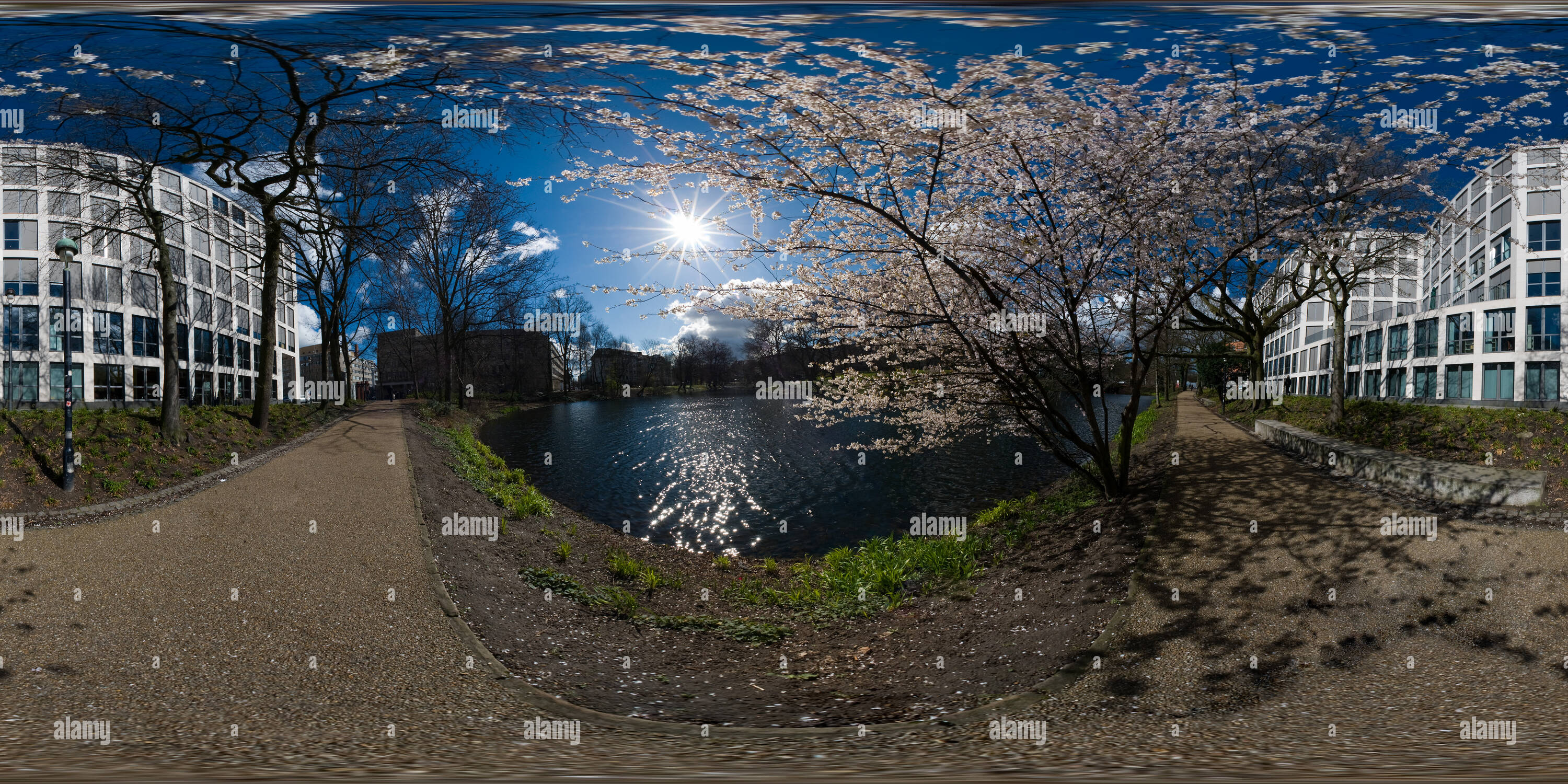 360° view of First Sign of Springtime - Alamy